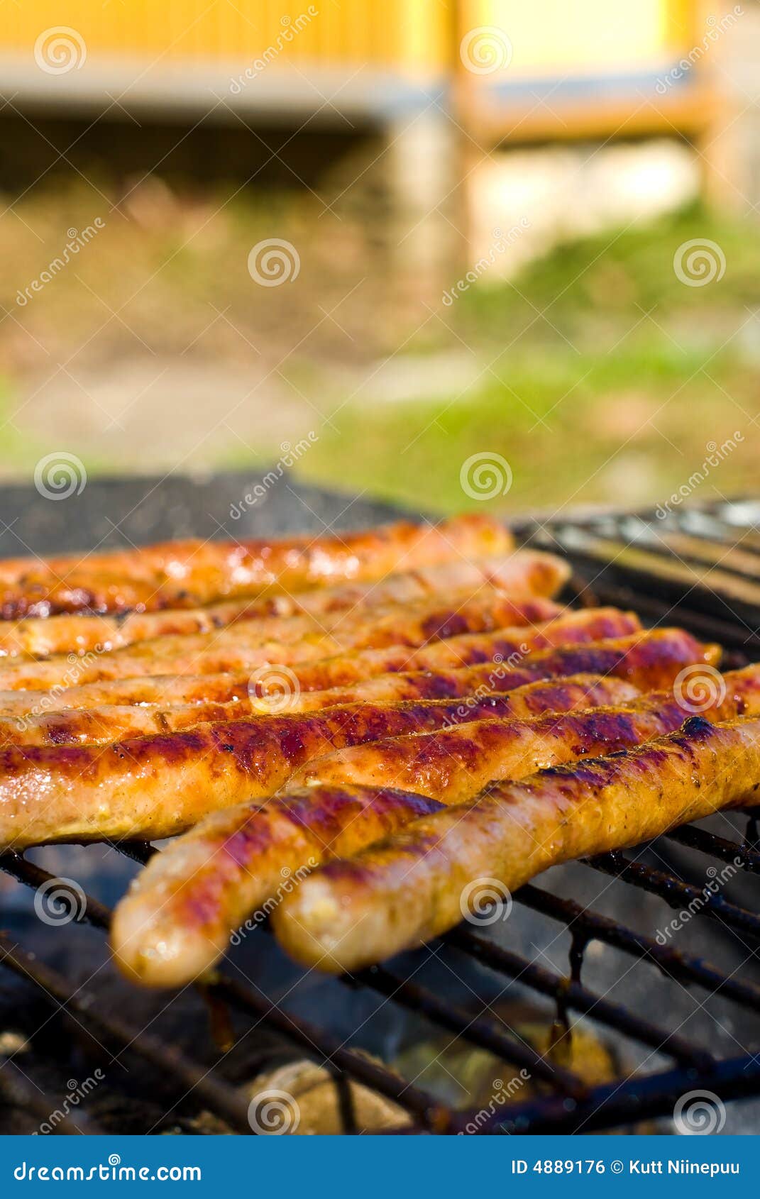 Sausages on grill stock photo. Image of home, roasted - 4889176
