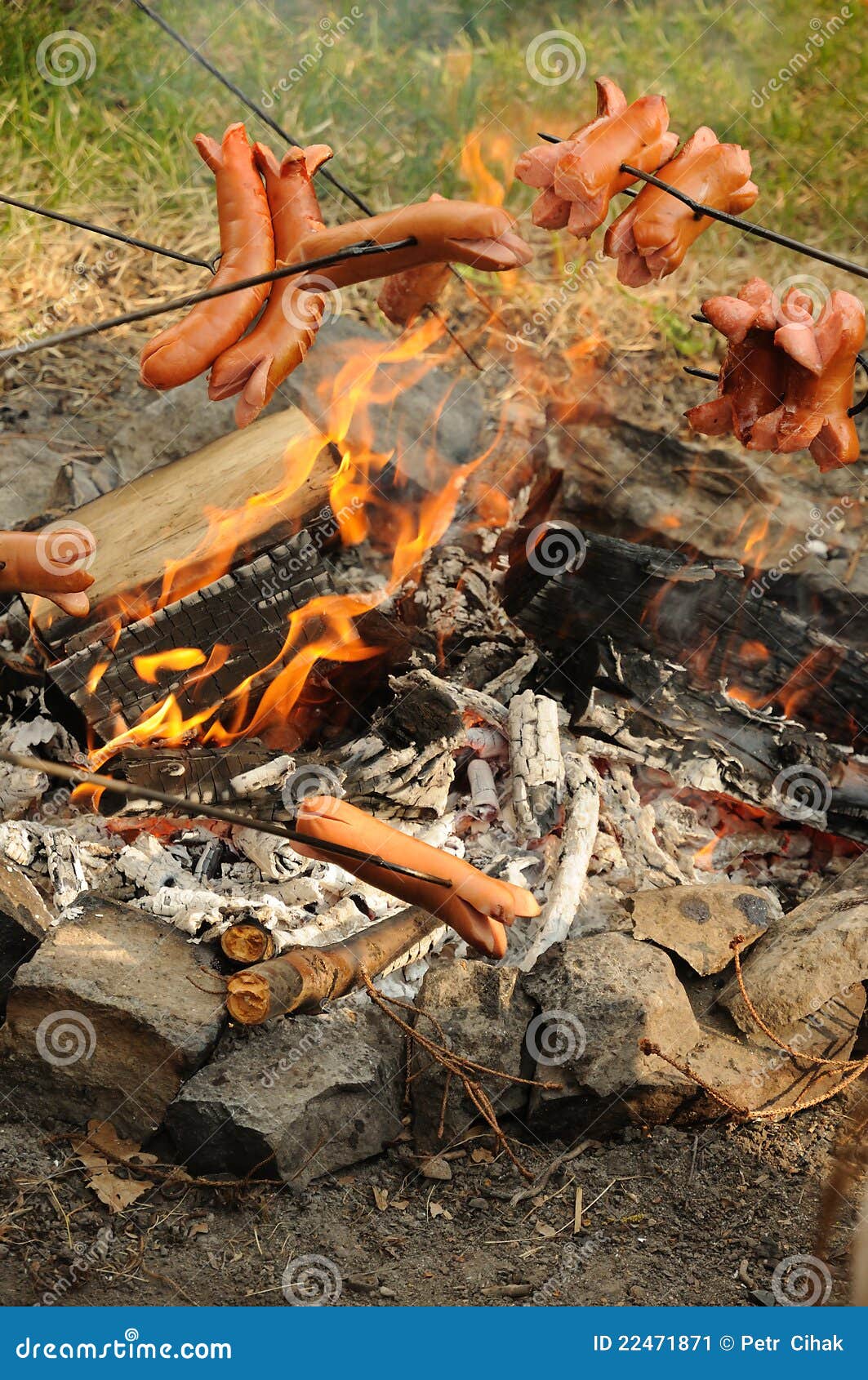 Sausages over campfire stock image. Image of cooking - 22471871