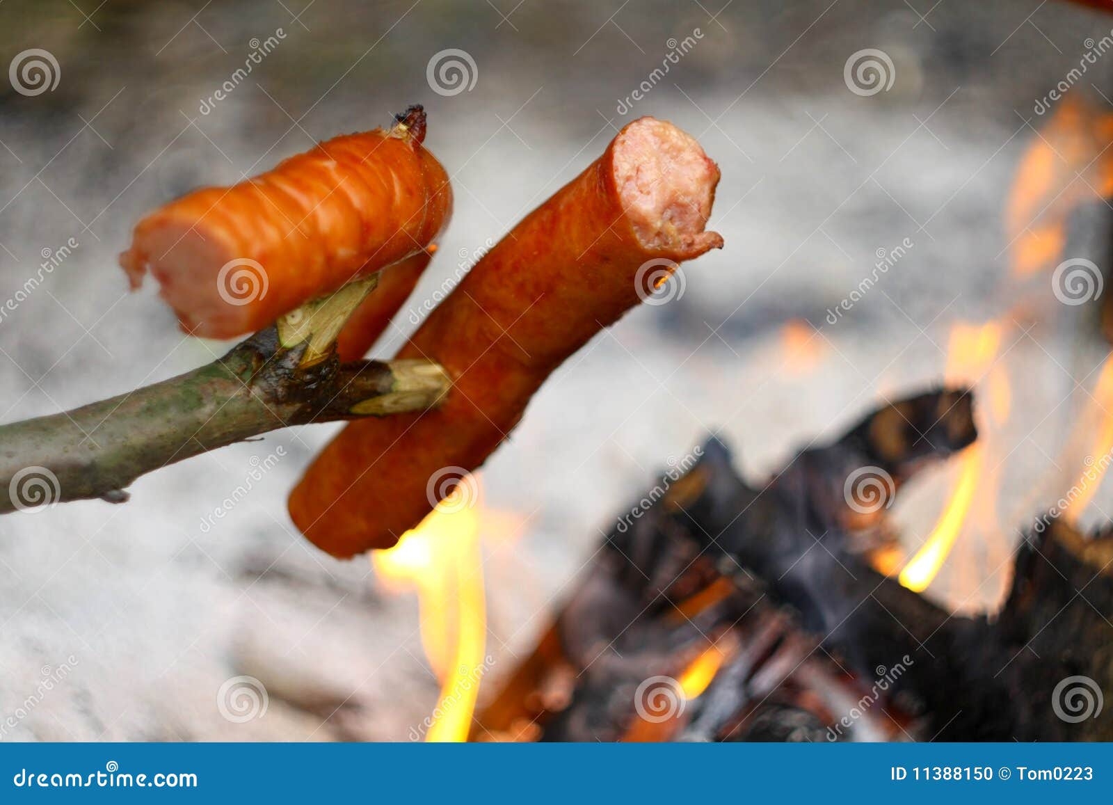 Sausages over the fire stock photo. Image of relaxation - 11388150