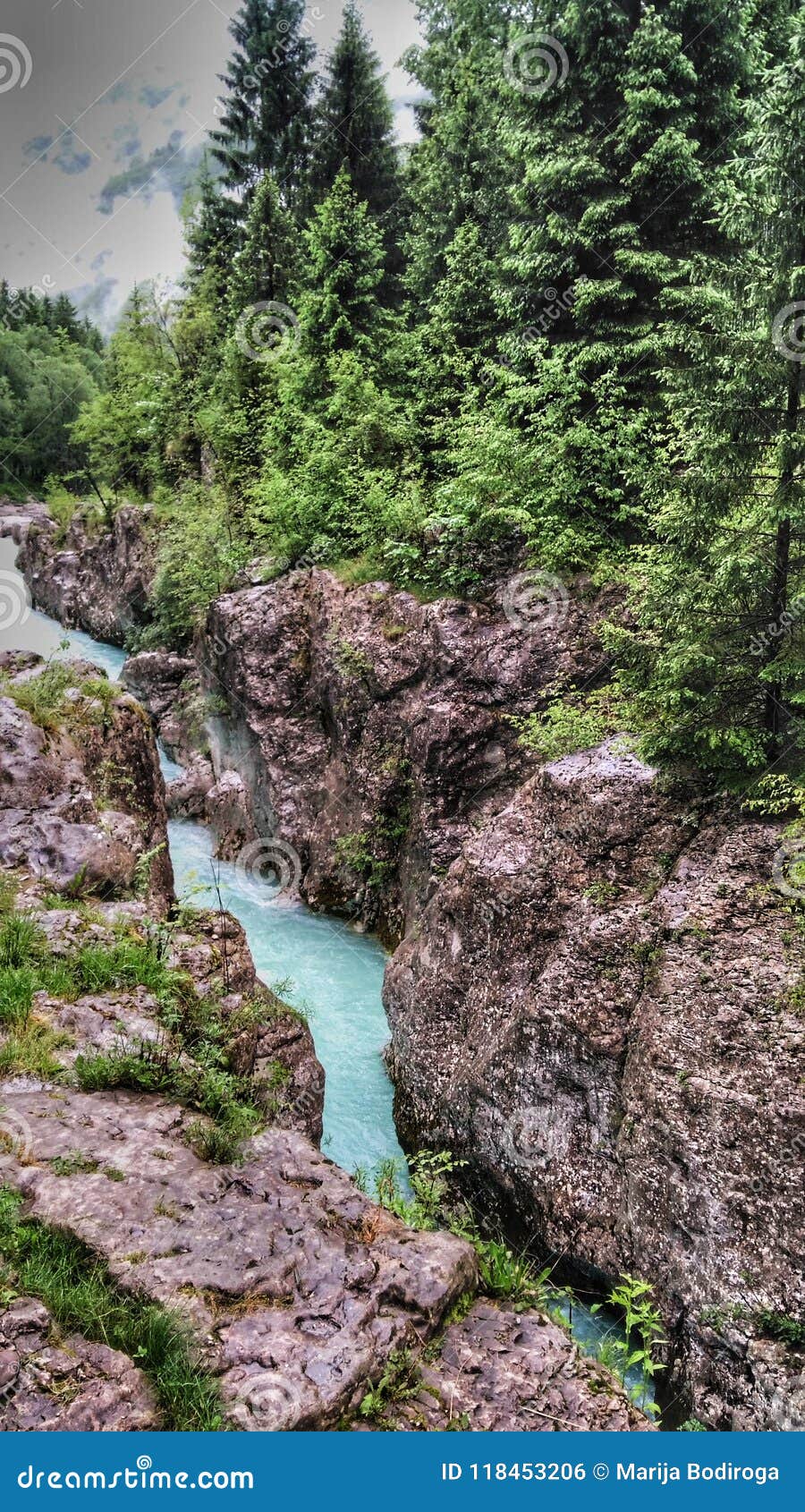 Sava stock photo. Image of river, nature, sava, grass - 118453206