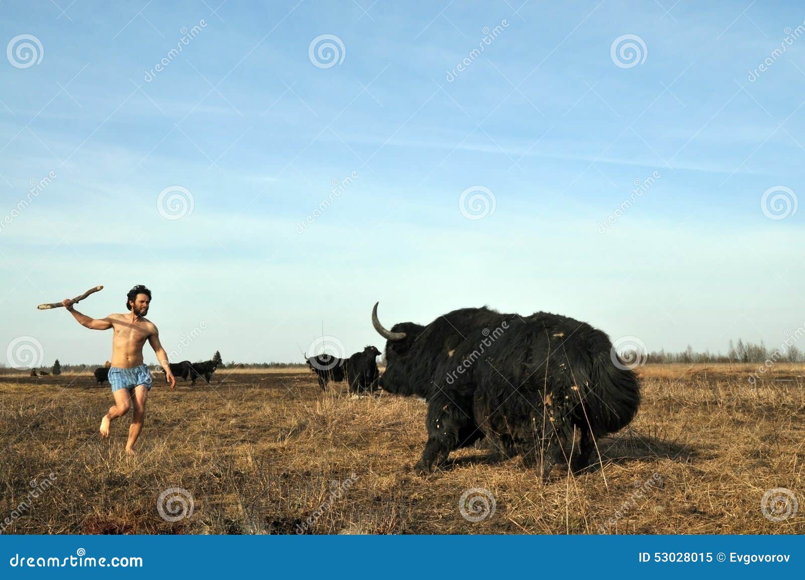 Savage Hunts Yak with a Spear Stock Image - Image of community, glacial ...