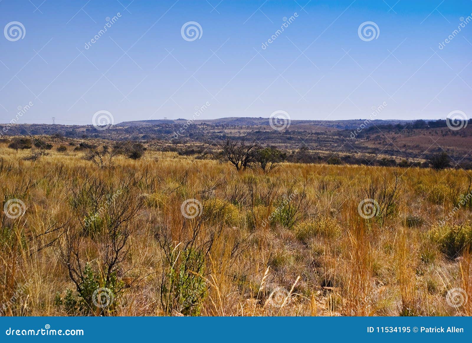 Savanna Lanscape stock image. Image of africa, south - 11534195