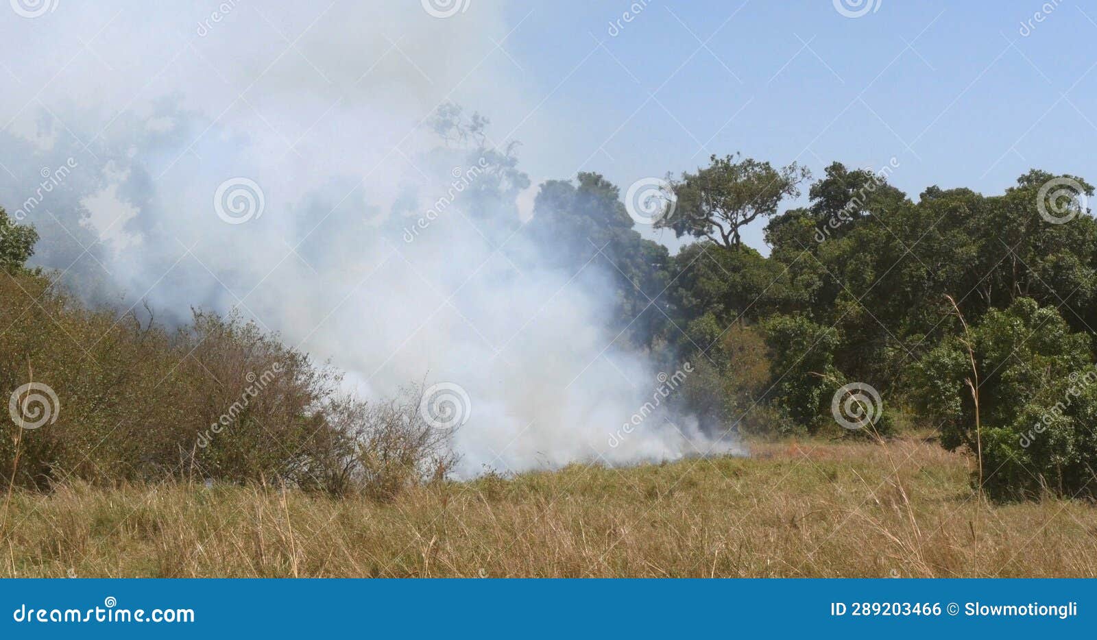 Savannah Fire, Masai Mara Park Kenya Stock Photo - Image of flame ...