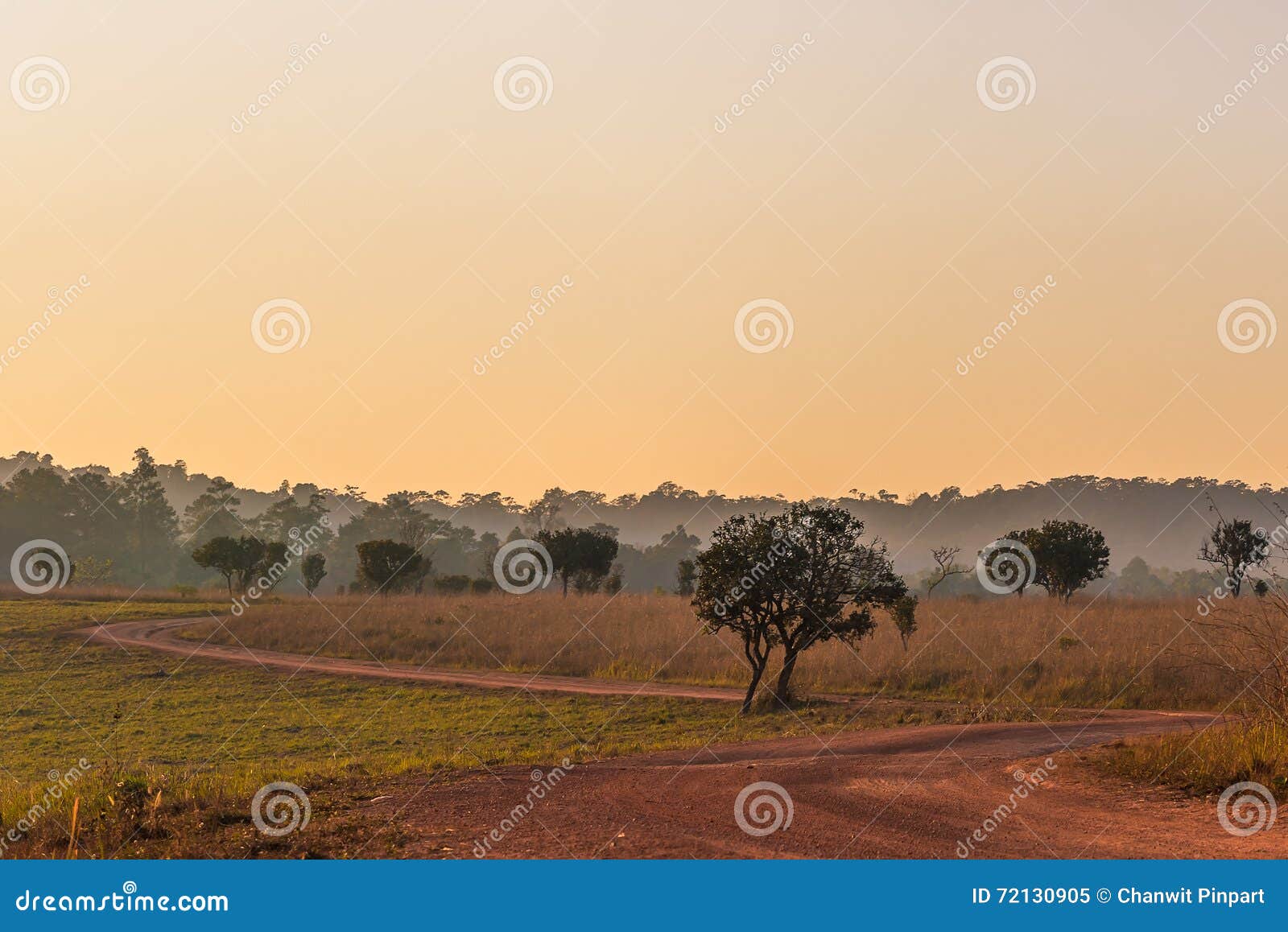 Savannah Forest at Sunset Time Stock Image - Image of dirt, dividing ...