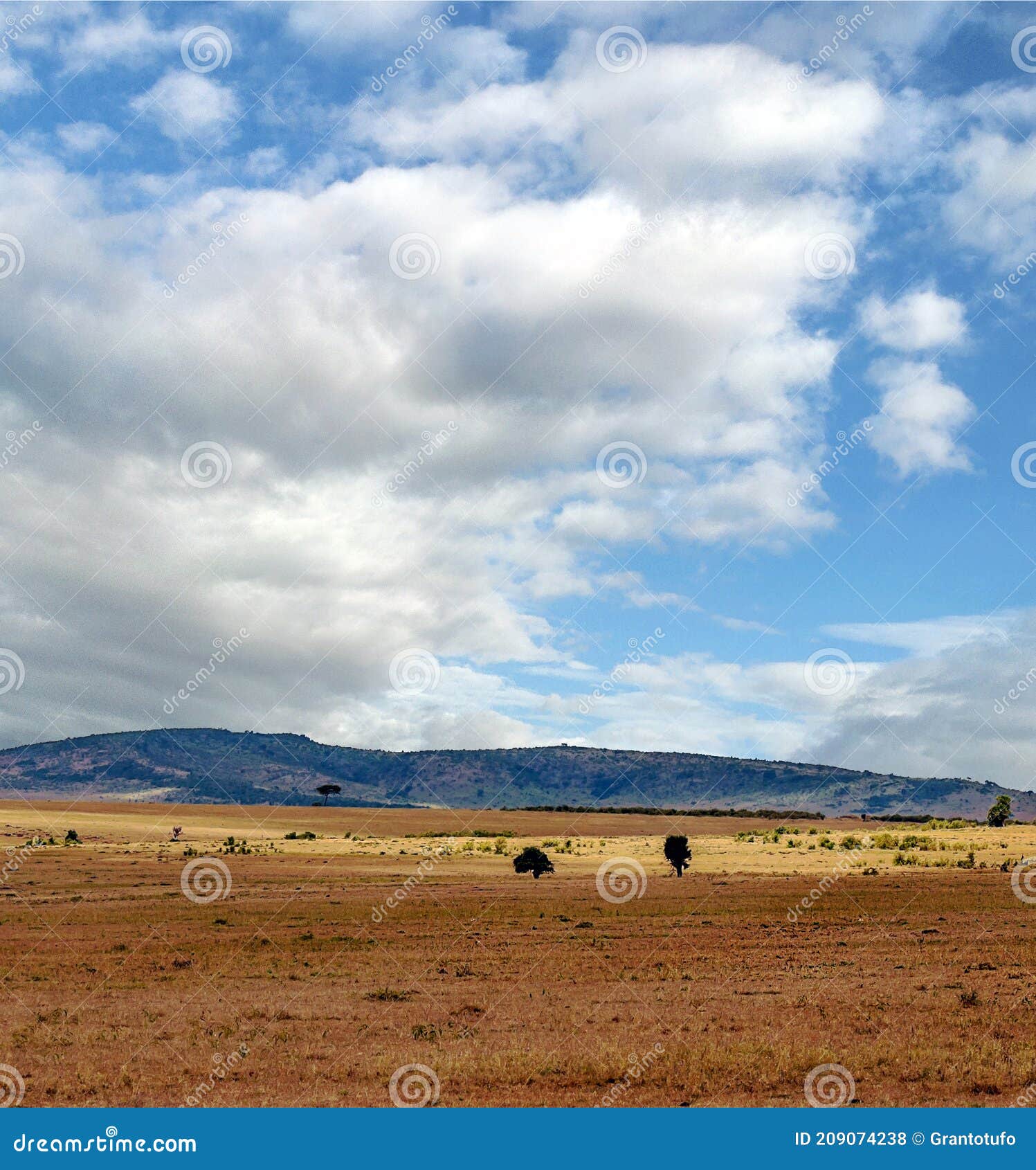 Kenyan landscape stock photo. Image of tree, acacia - 209074238