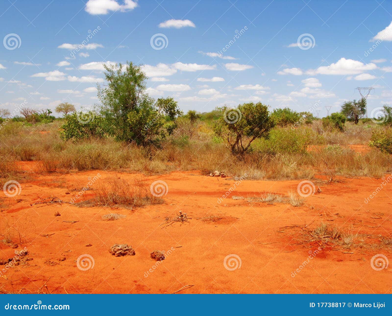 Savannah landscape stock image. Image of desert, country - 17738817