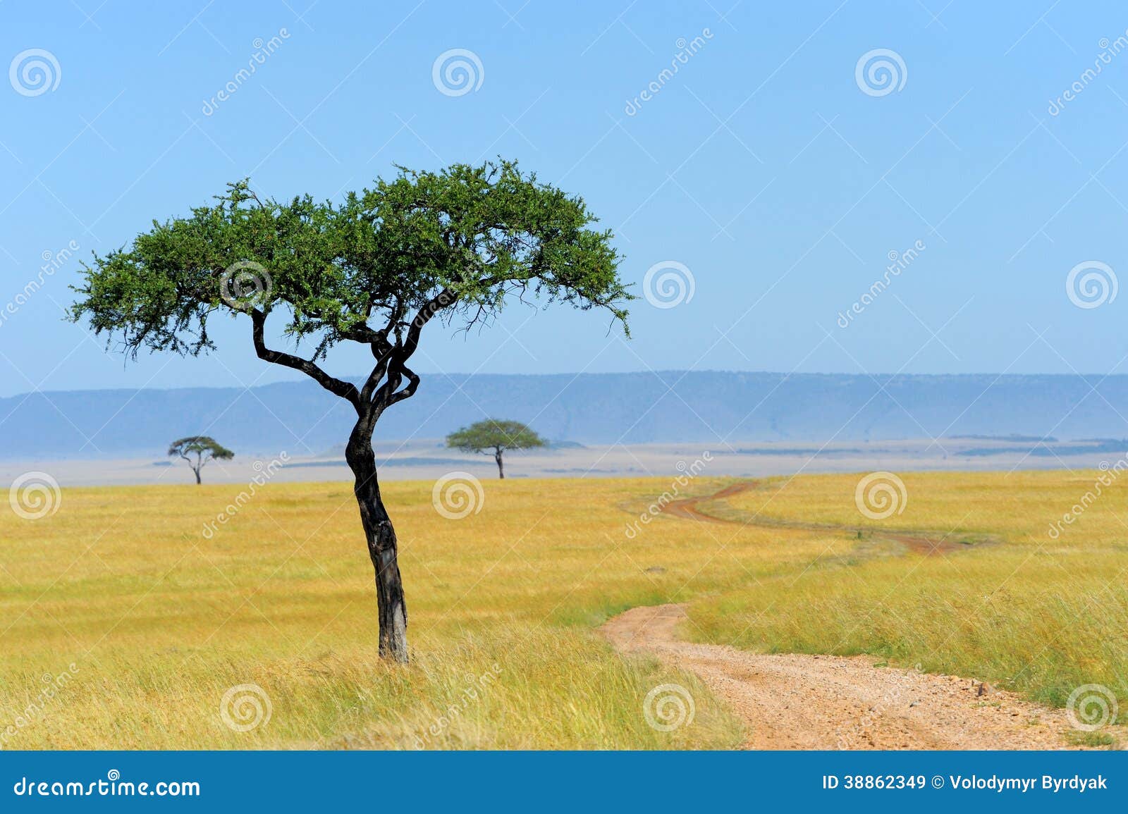 Savannah stock image. Image of savannah, glowing, blue - 38862349