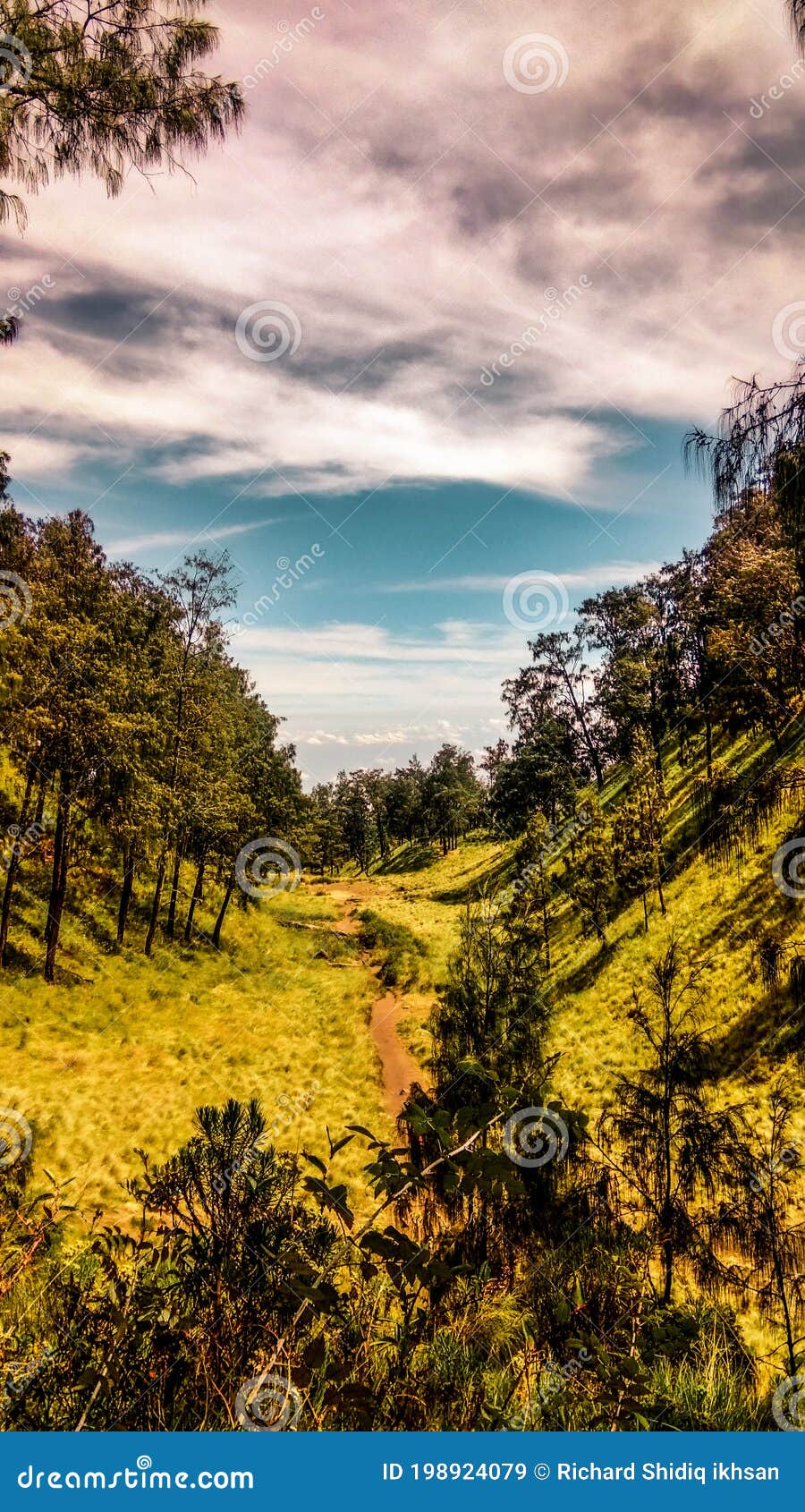 A Savannah in Lawu Mountain Stock Image - Image of plant, cloud: 198924079
