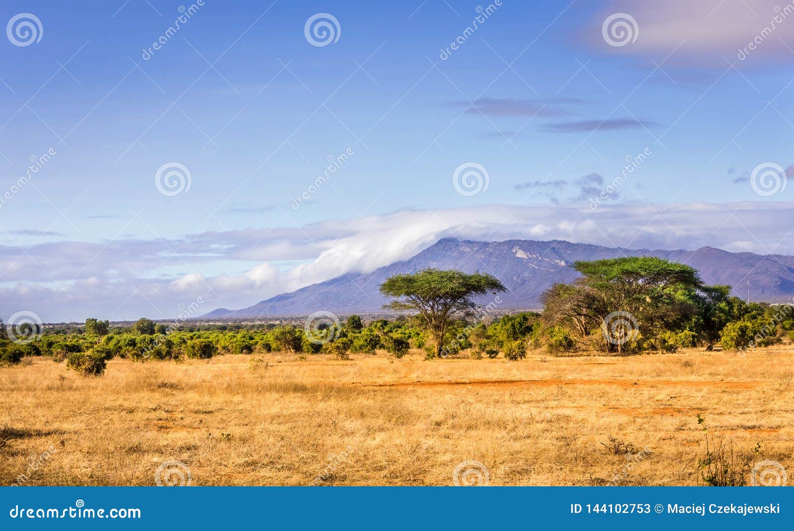 Savannah Plains Landscape in Kenya Stock Image - Image of destination ...