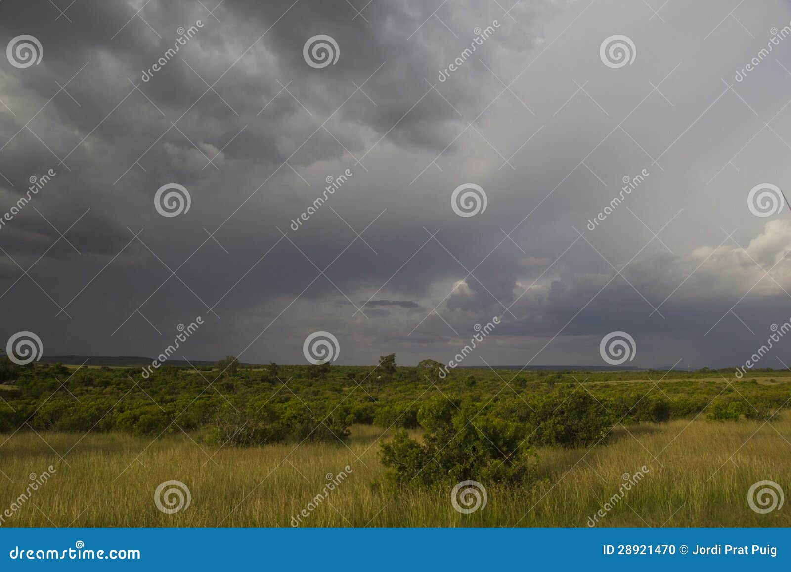 Savannah storm stock photo. Image of scene, outdoor, dark - 28921470