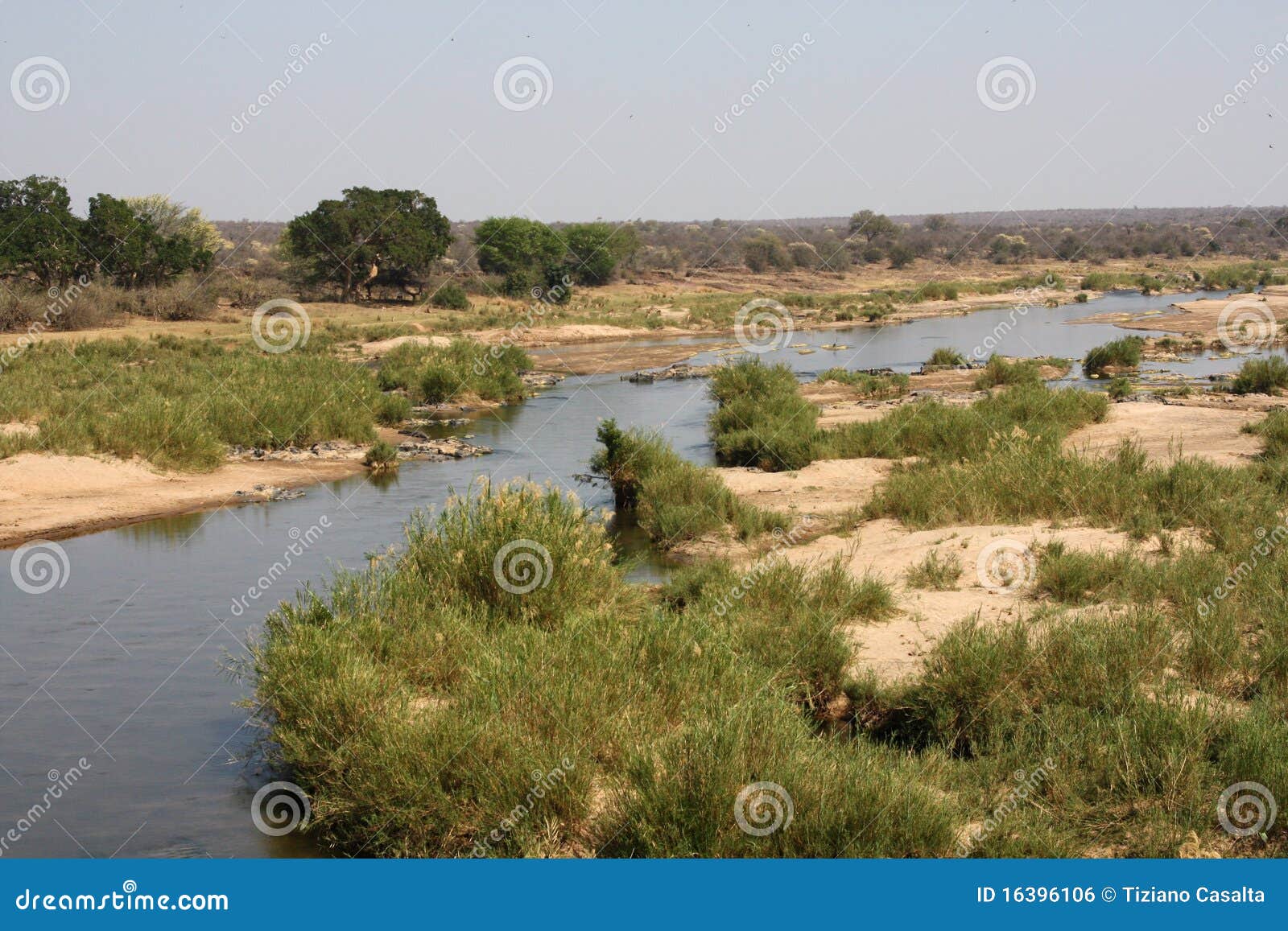 Savanne stockfoto. Bild von reise, baum, süd, vorbehalt - 16396106