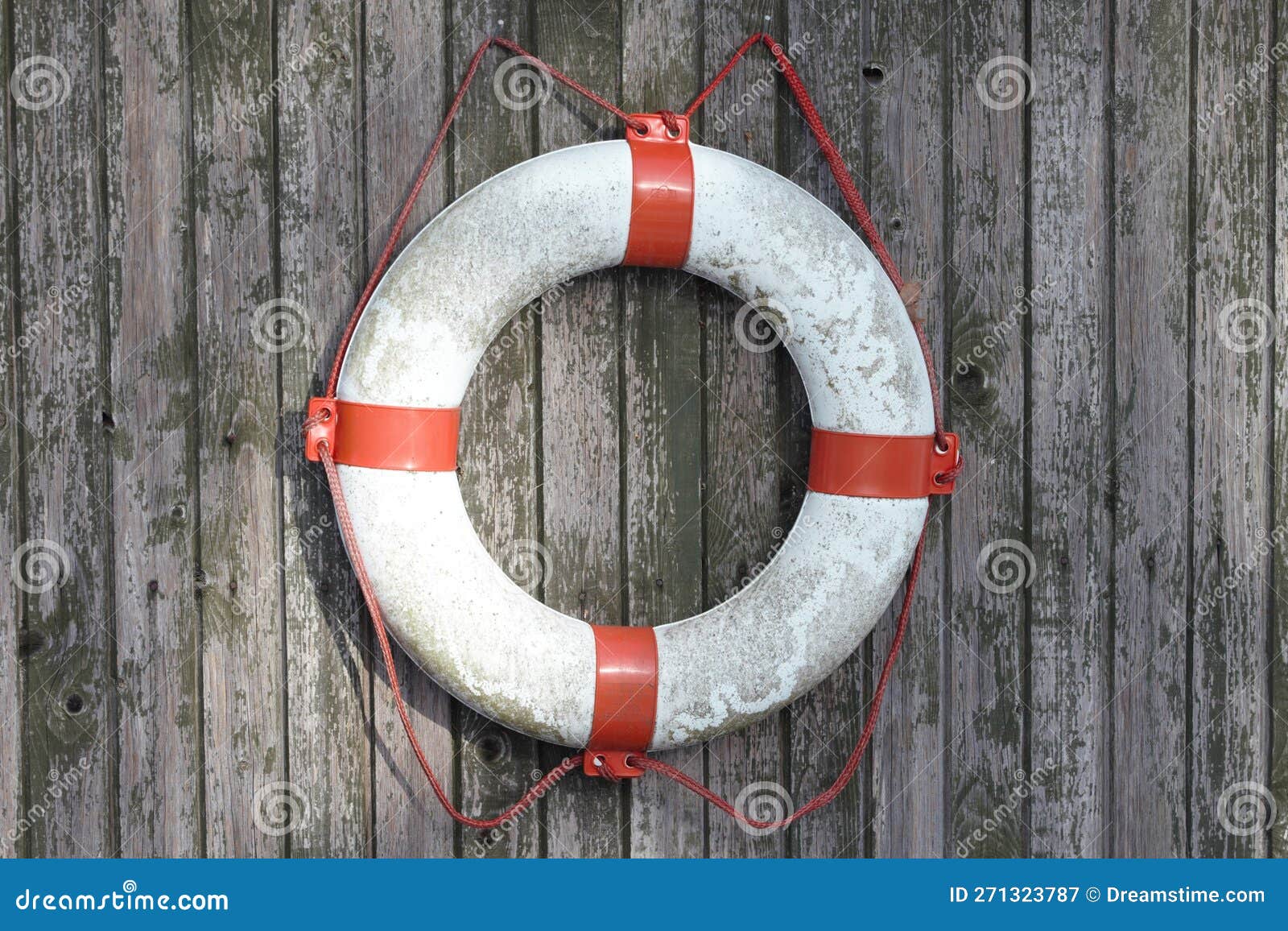 Save Circle Health White Saving Stock Image - Image of wood, green ...