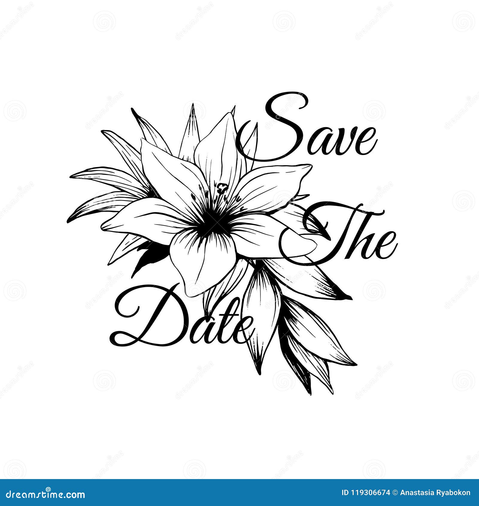 Save the Date Lily Ink Drawing Isolated Vector Illustration Stock ...