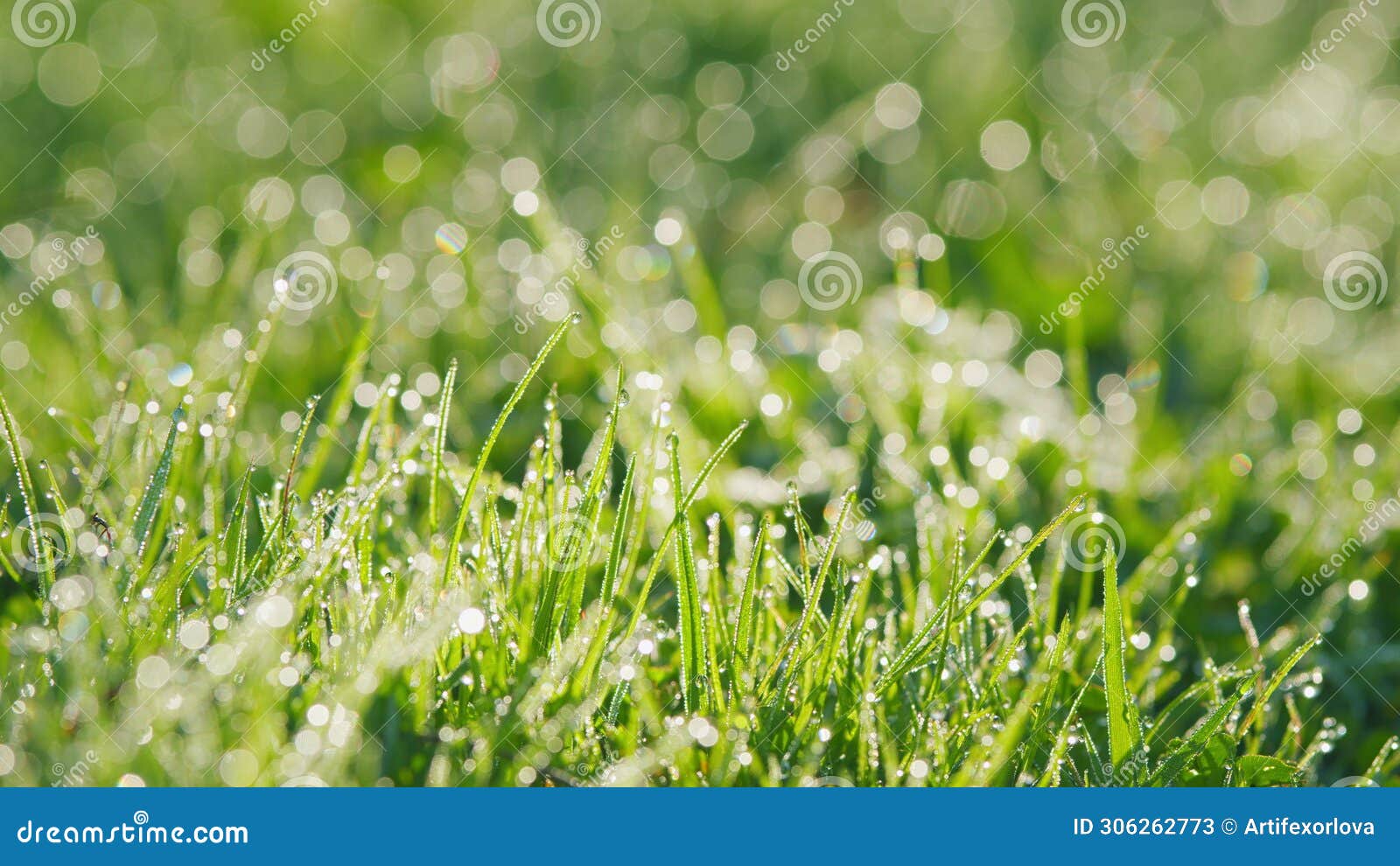 Save Earth Concept. Abstract Natural Spring Nature Background. Pure ...