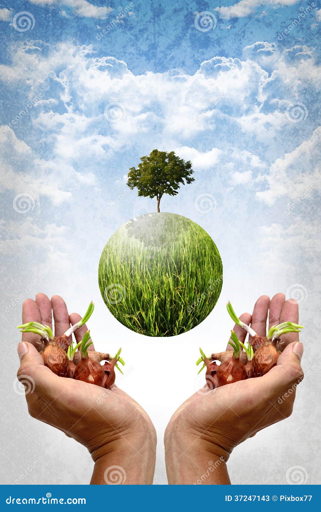Save the Earth by Plantation Stock Image - Image of holding ...