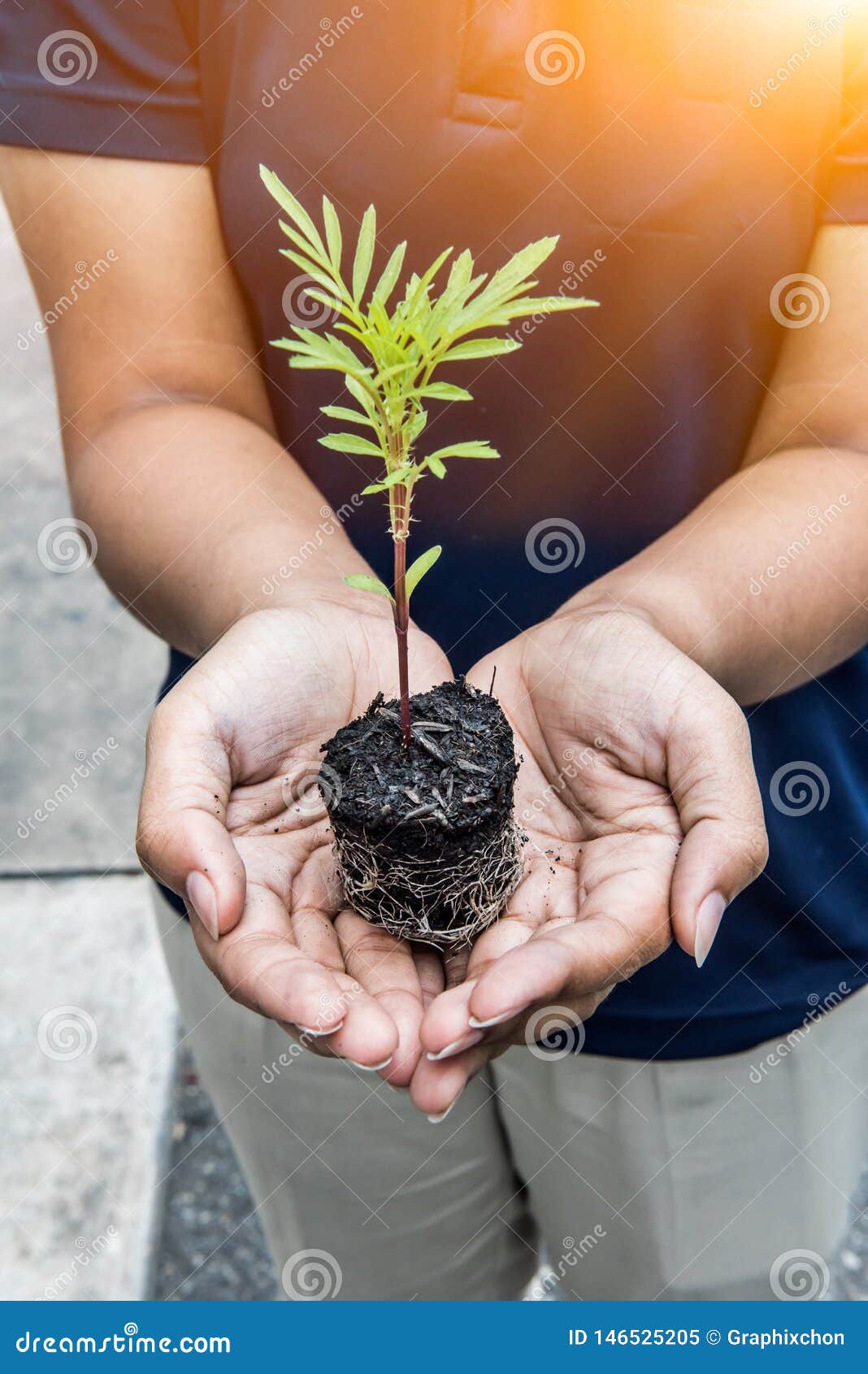 Save Earth Save Life by Plant the Tree, Stock Image - Image of natural ...
