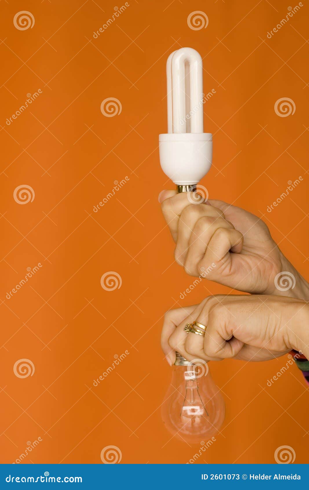 Save Energy stock image. Image of intelligent, intelligence - 2601073