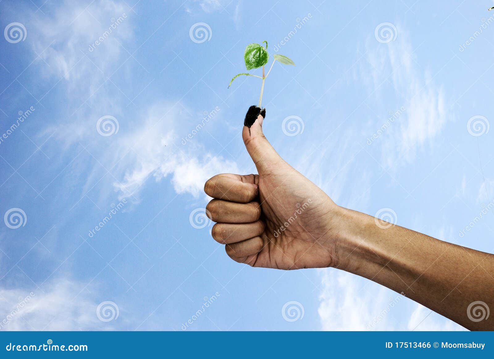 Save Environment stock photo. Image of environment, hold - 17513466