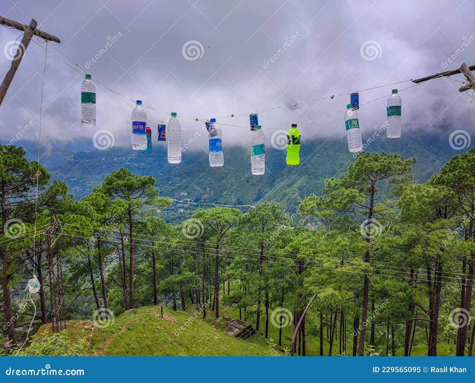 Save The Environment, Beautiful Green Park And Forest With Waterfall ...