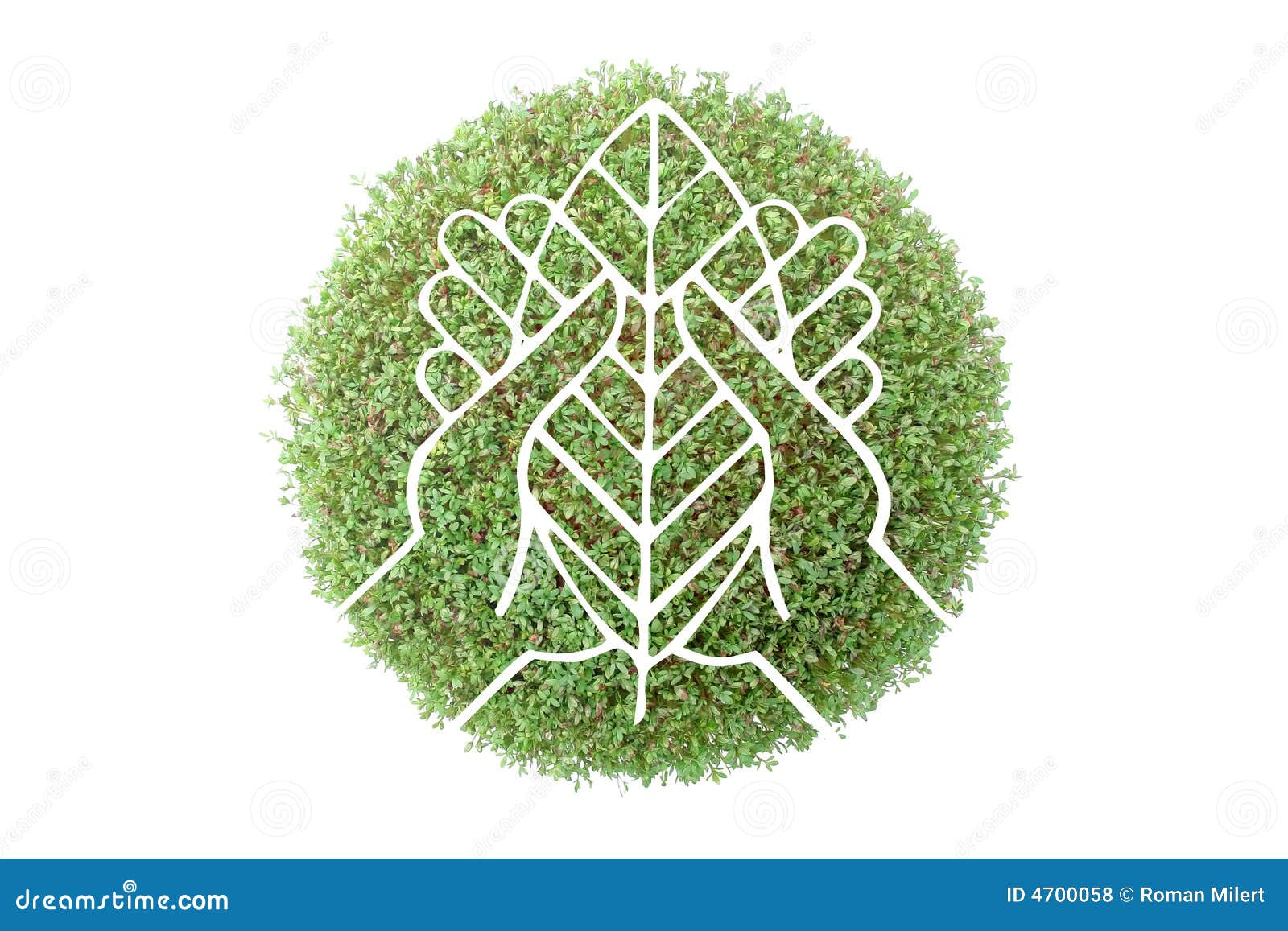 Save the forest stock illustration. Illustration of hand - 4700058