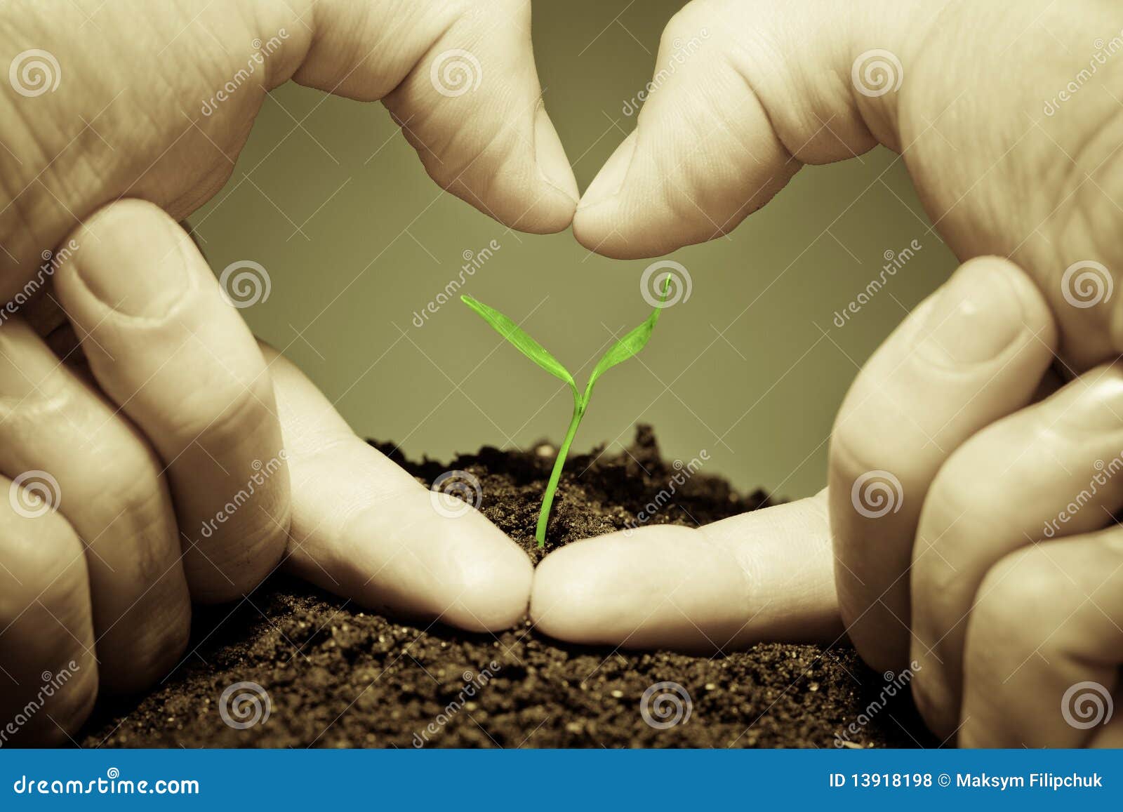 Save the future stock photo. Image of fragility, life - 13918198