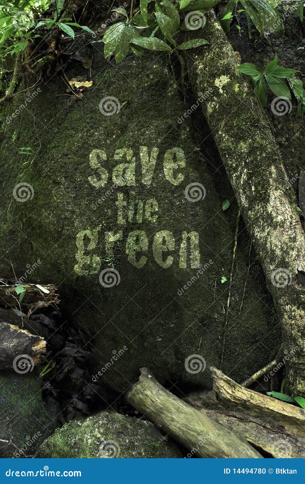 Save the green stock photo. Image of tropical, leaf, rain - 14494780