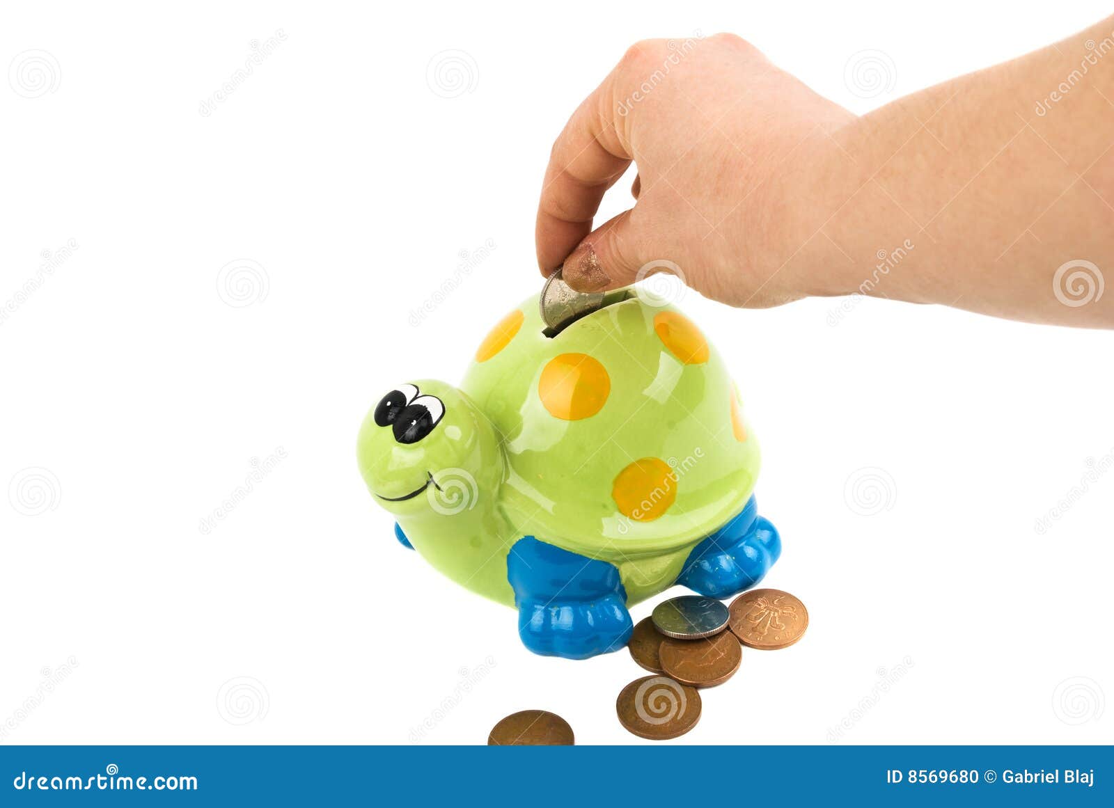 248 Money Tortoise Stock Photos - Free & Royalty-Free Stock Photos from ...