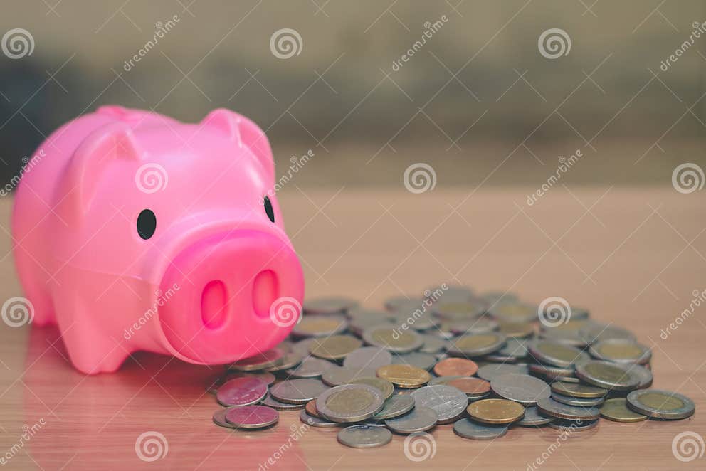 Save Money in Pig Pink for Future Use. Stock Photo - Image of close ...