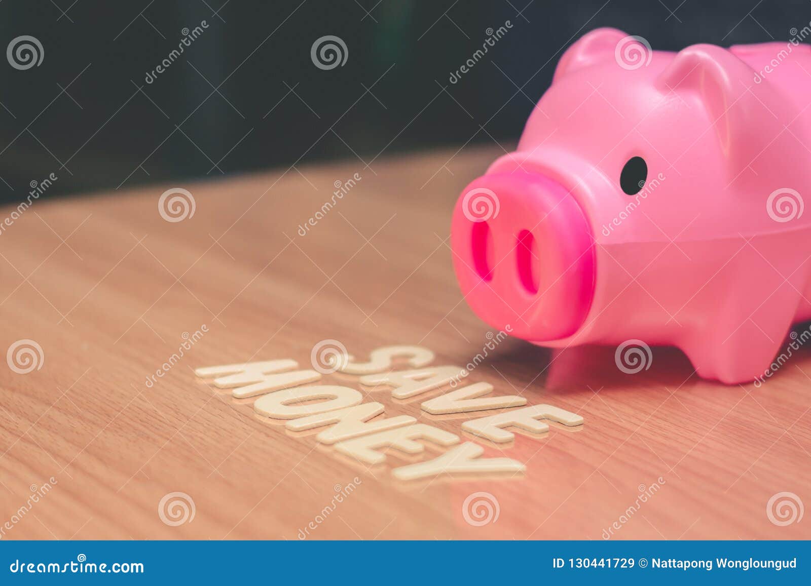 Save Money in Pig Pink for Future Use. Stock Image - Image of natural ...