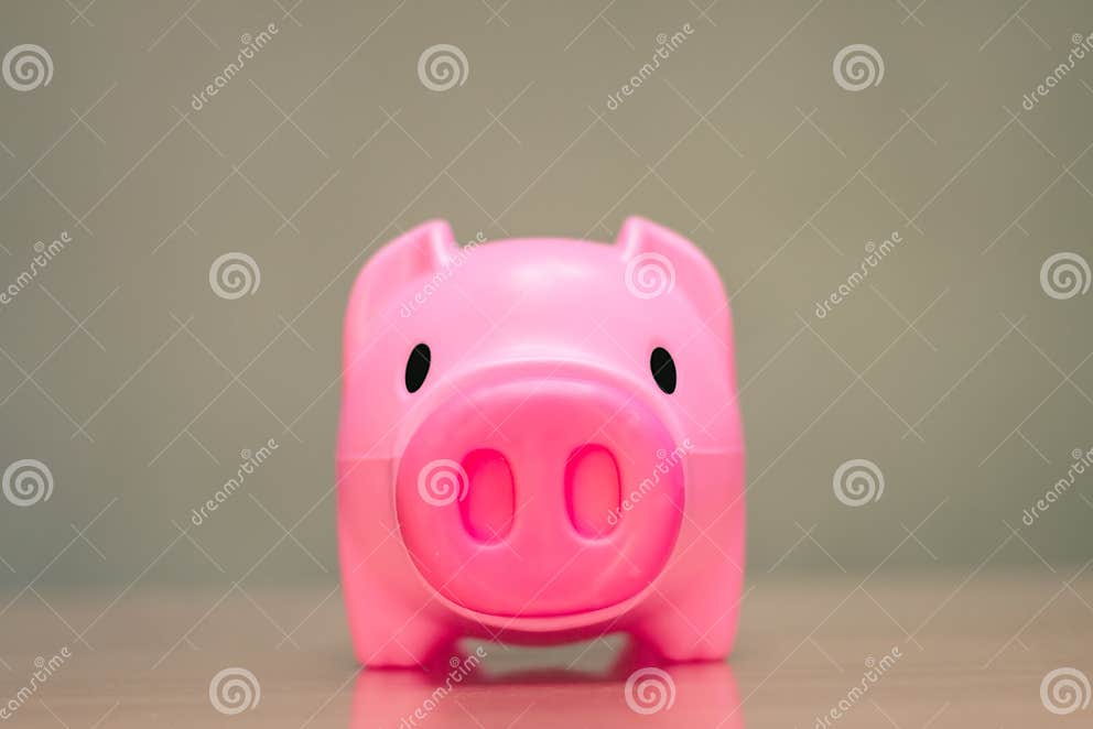 Save Money in Pig Pink for Future Use. Stock Image - Image of bank ...