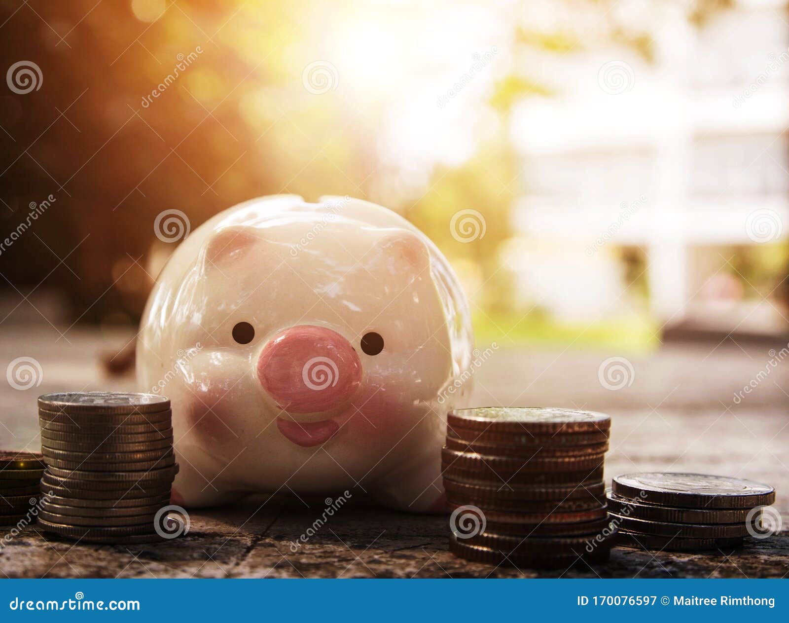 Save Money and Saving Dollar Coin Stock Image - Image of bank, design ...