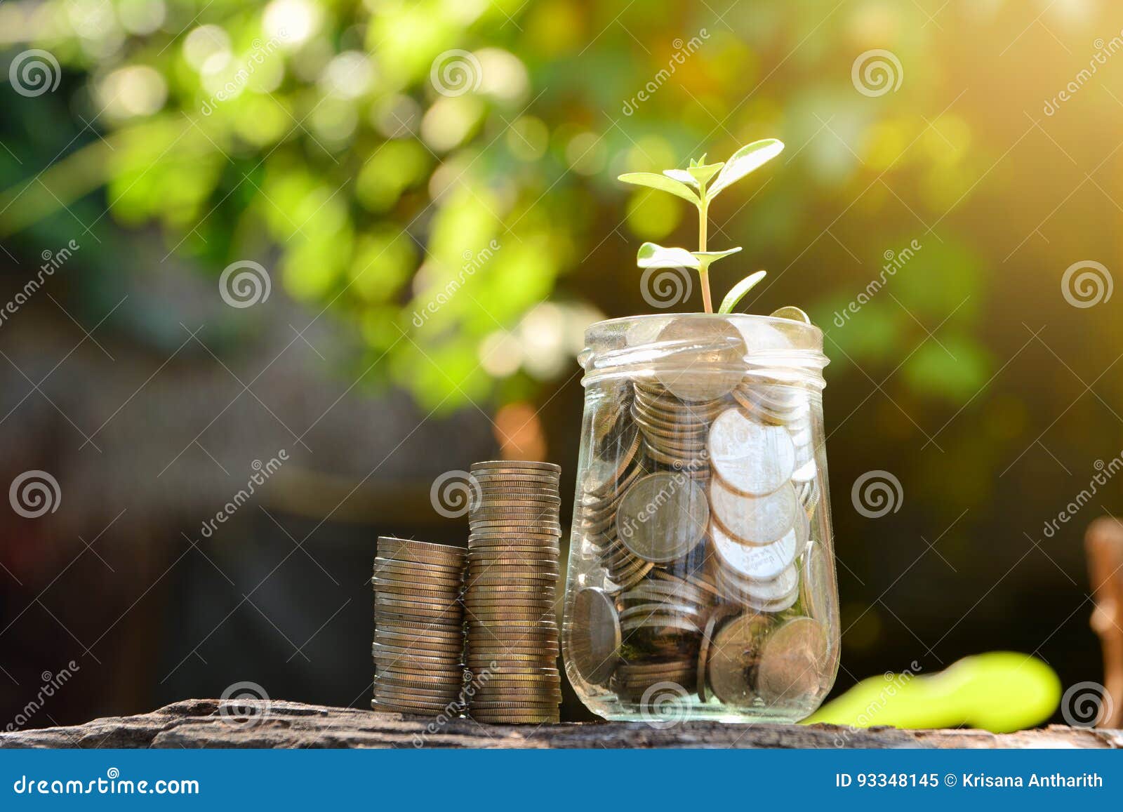 Save Money with Stack Coin for Growing Your Business and Plant U Stock ...