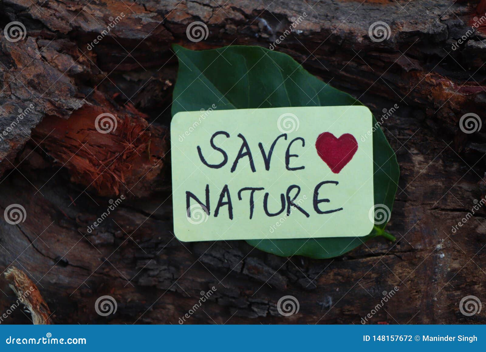 Save Nature Paper Sign Placed on the Bark of a Tree Stock Photo - Image ...