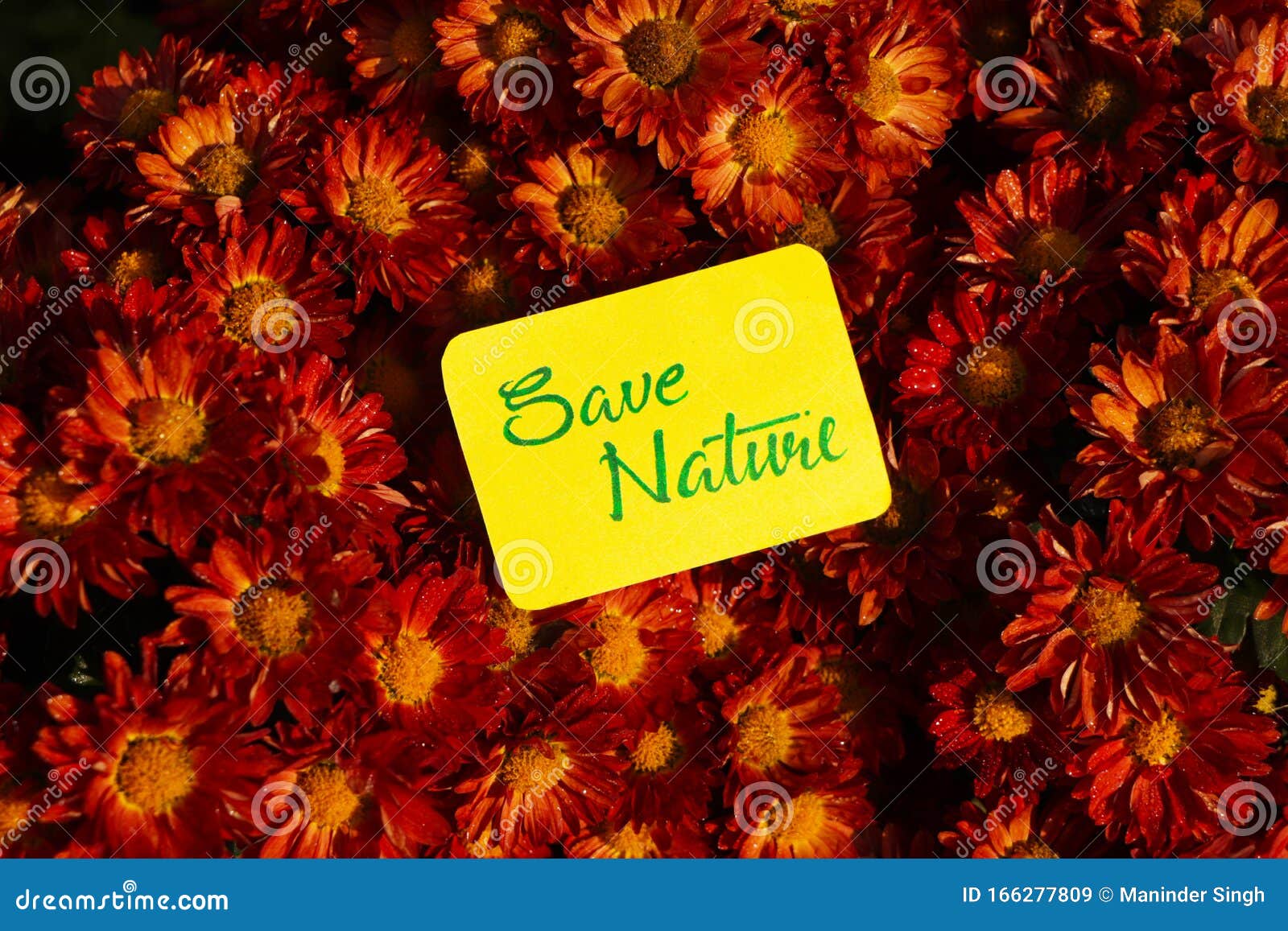 Save Nature Text with Flowers. Stock Image - Image of hydrant ...