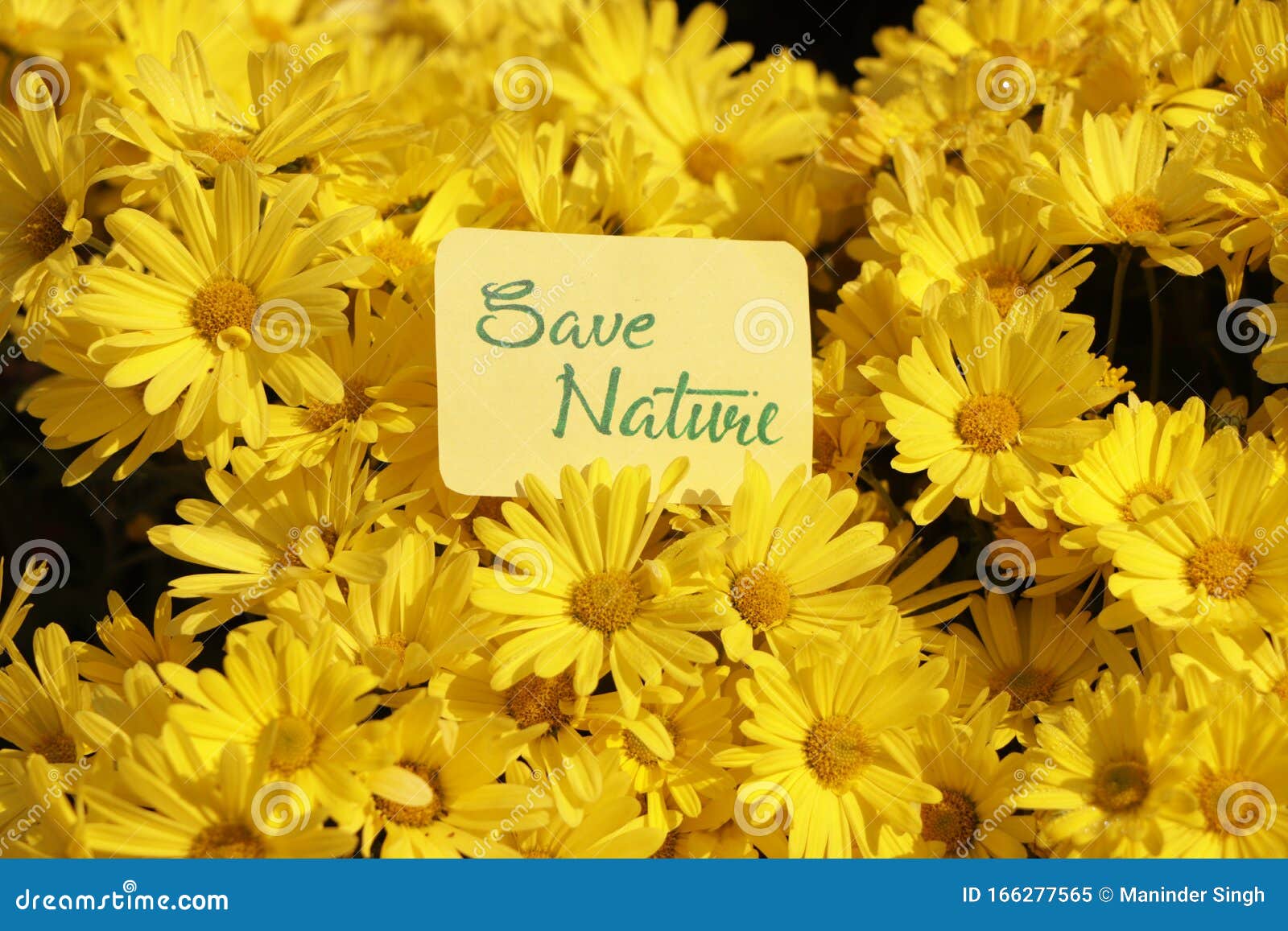 Save Nature Text with Flowers. Stock Image - Image of text, colorful ...