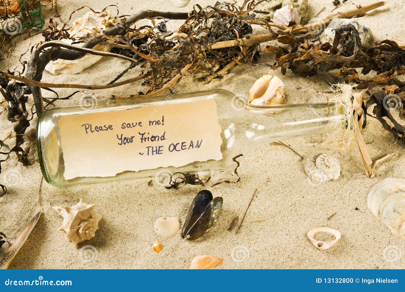 Save the ocean stock photo. Image of white, environmental - 13132800