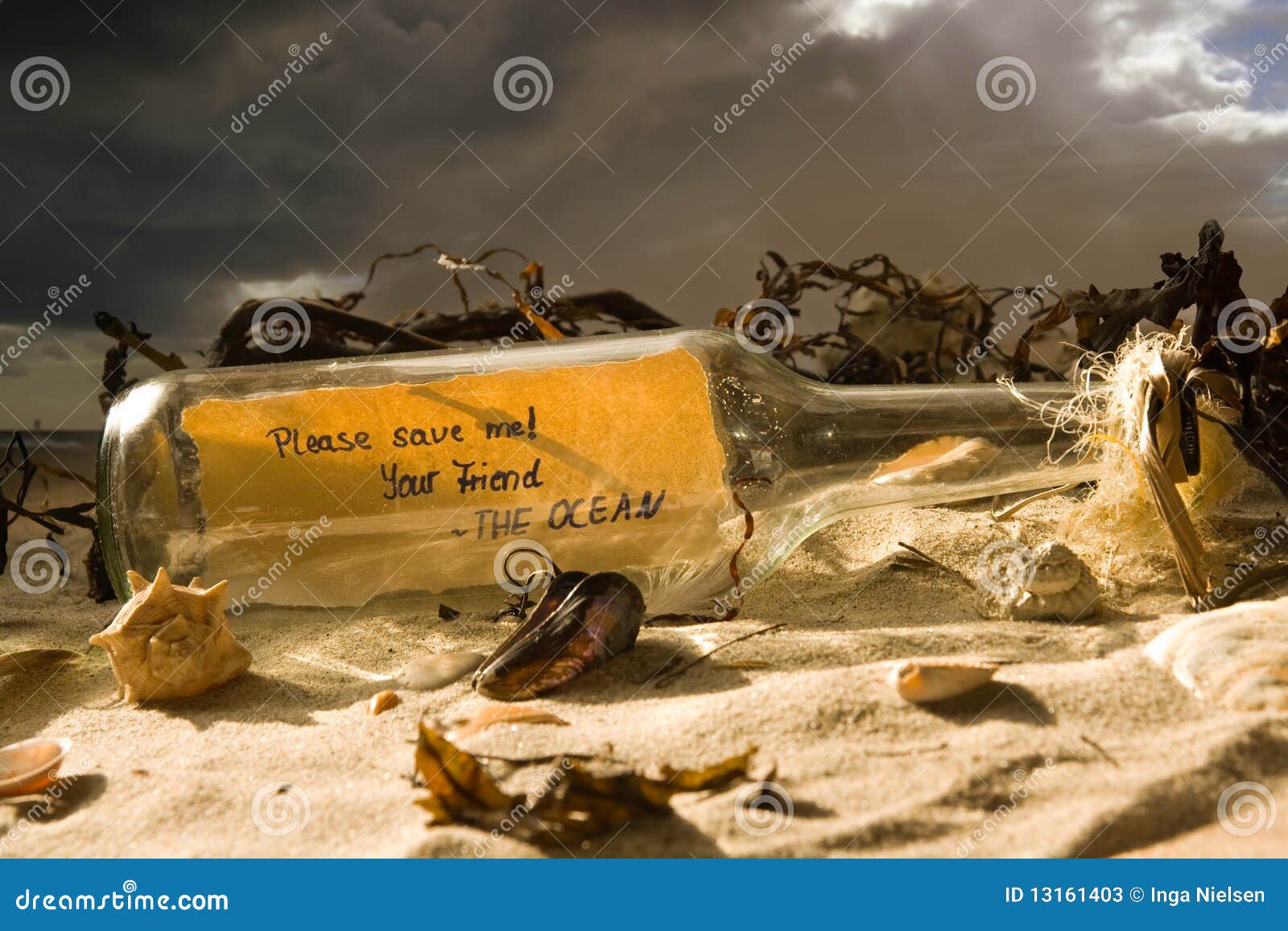 Save the ocean stock image. Image of stones, shells, paper - 13161403