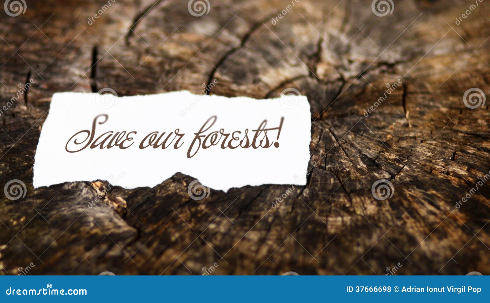 Save Our Forests Message on Tree Trunk Stock Photo - Image of ecology ...