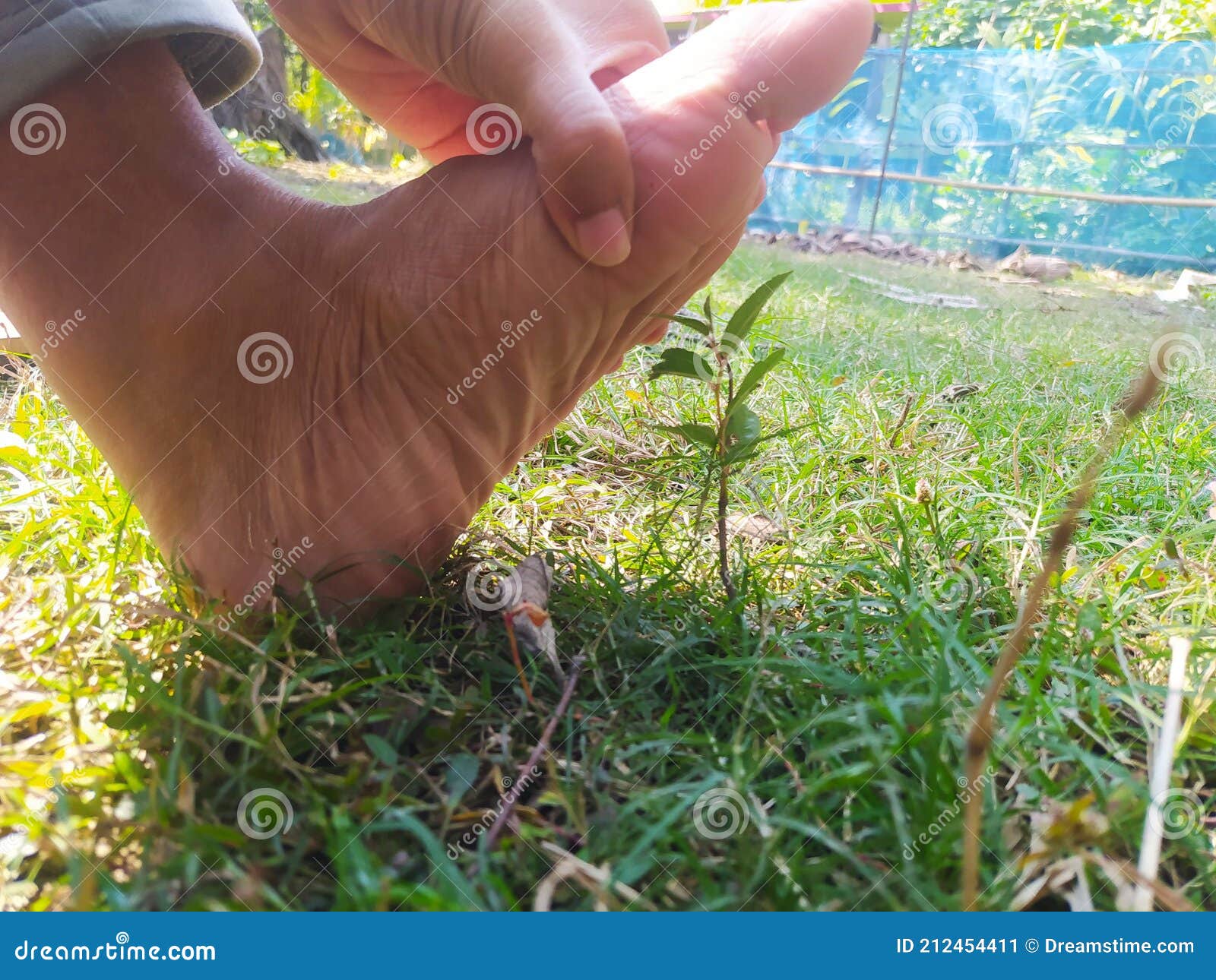 Save Plants, save plant stock image. Image of green - 212454411