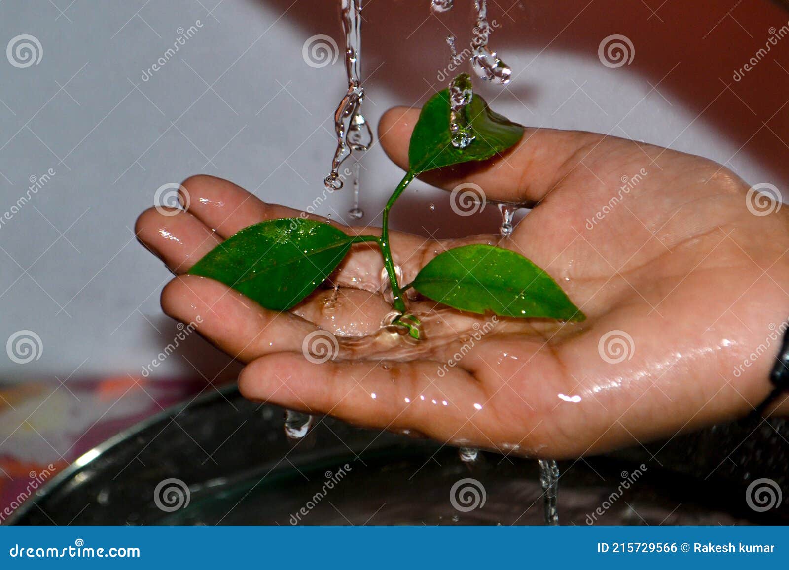 Save Plants - Protect Plants And Conserve Them Stock Image ...