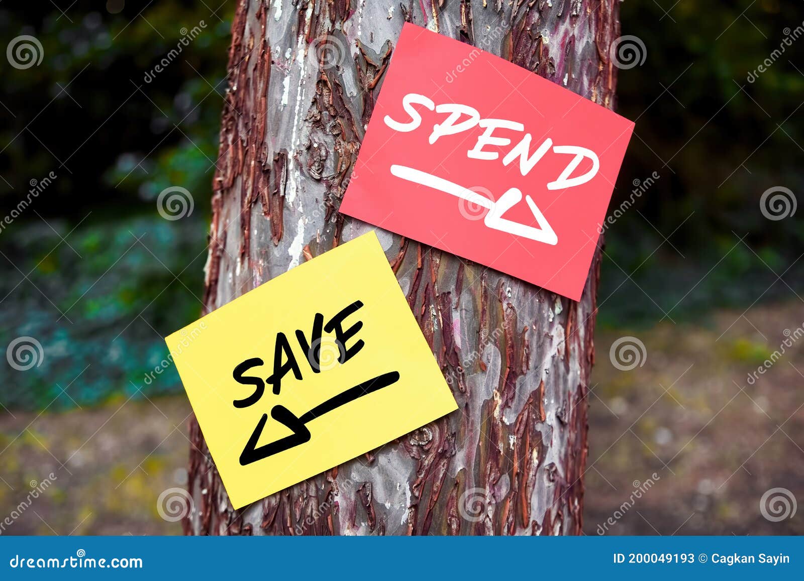 Save and Spend Words Written on Papers on a Tree with Arrow Signs ...