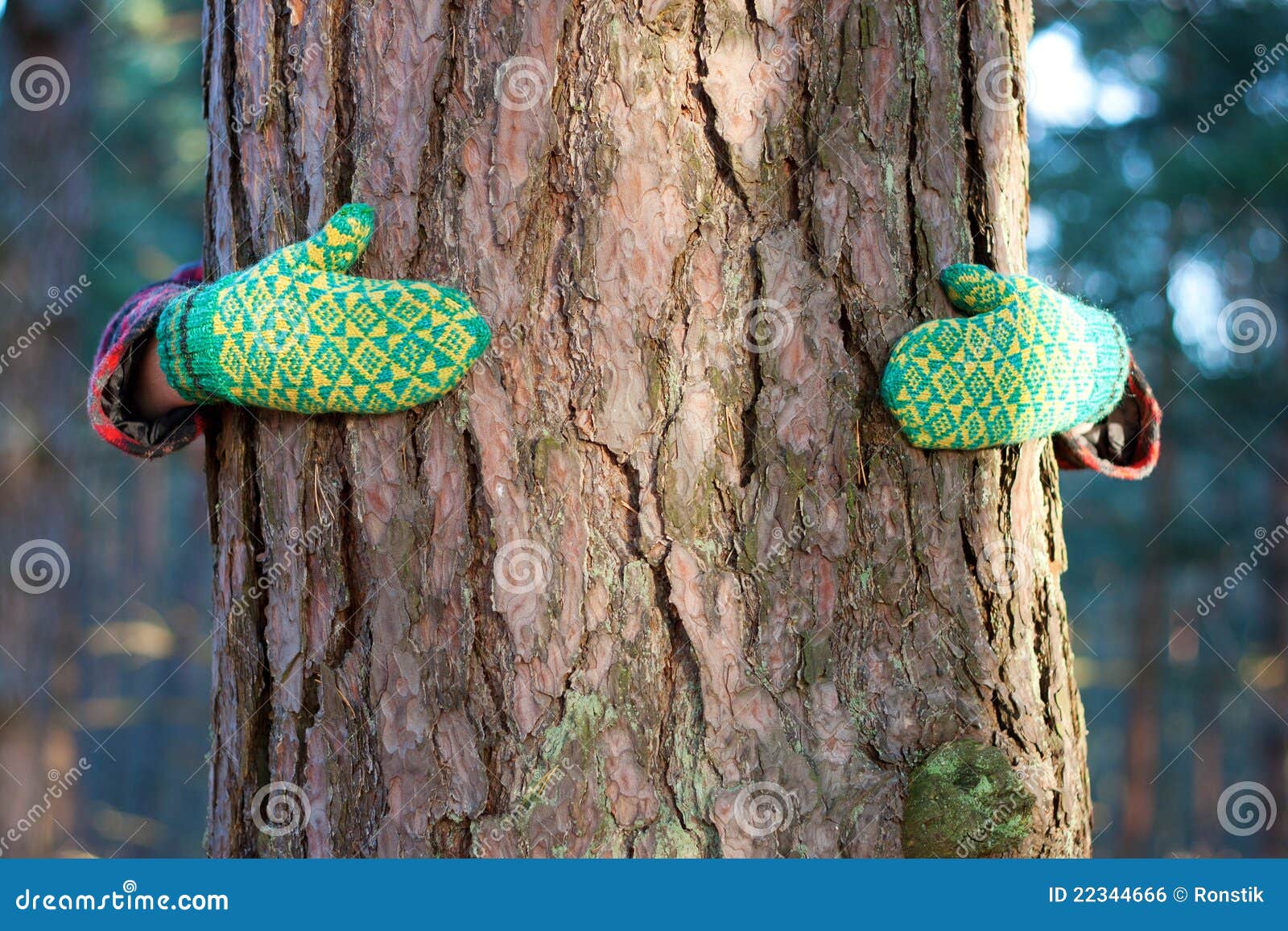 Save Tree Save Water Save Earth Save Life Stock Photography ...