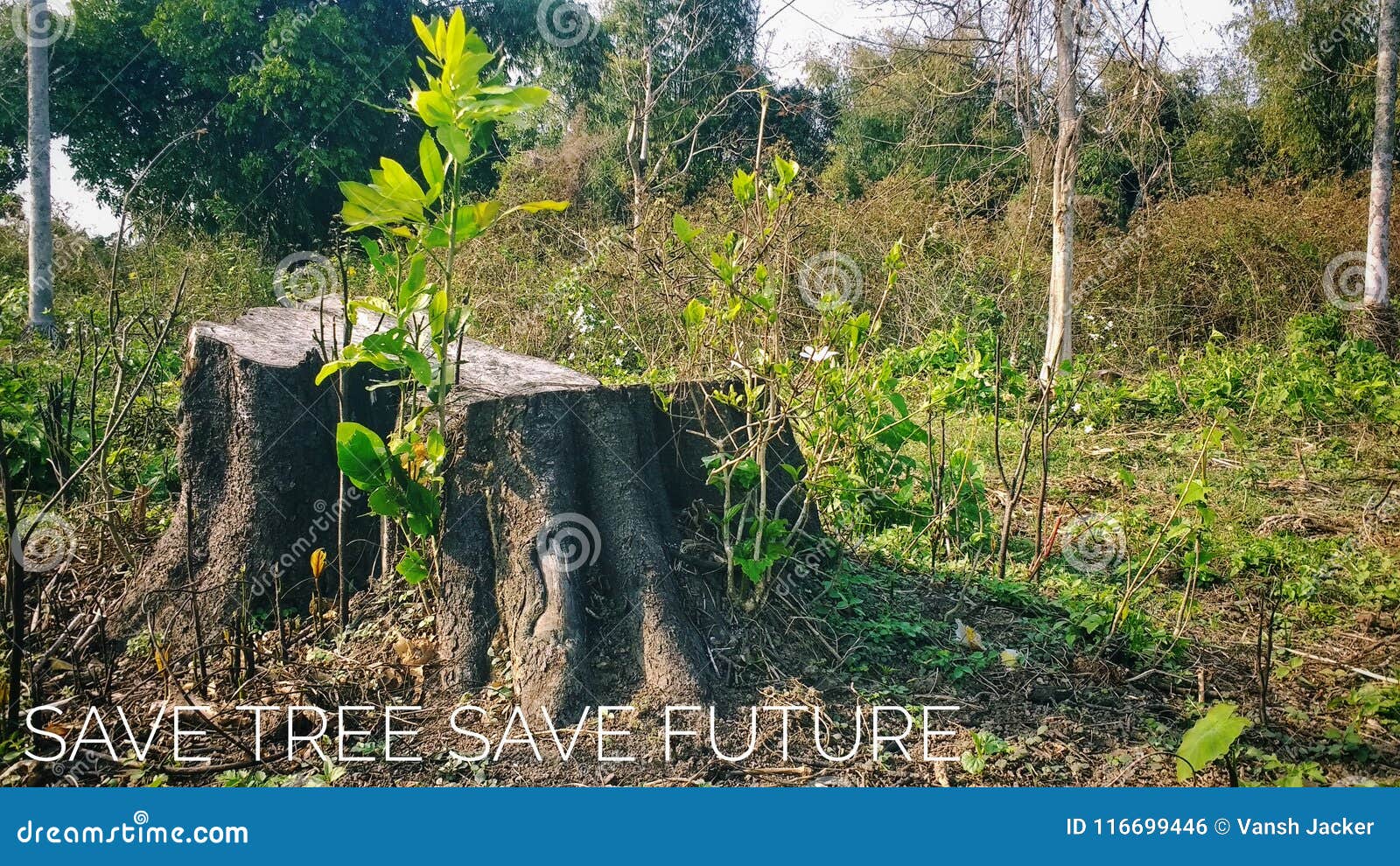 Save tree save future stock photo. Image of tree, save - 116699446