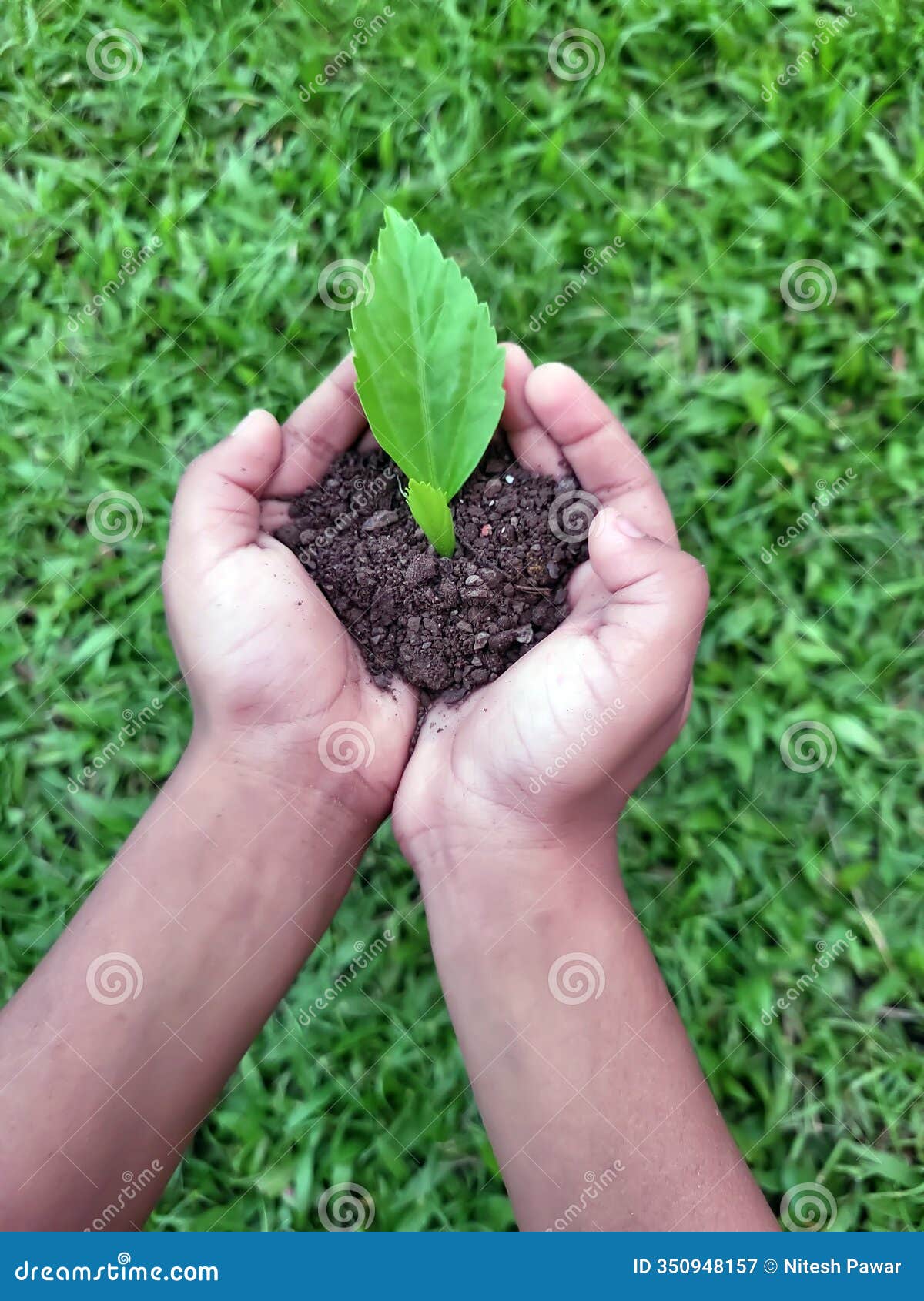 Save Tree, Go Green and Go Green Stock Image - Image of dirt ...