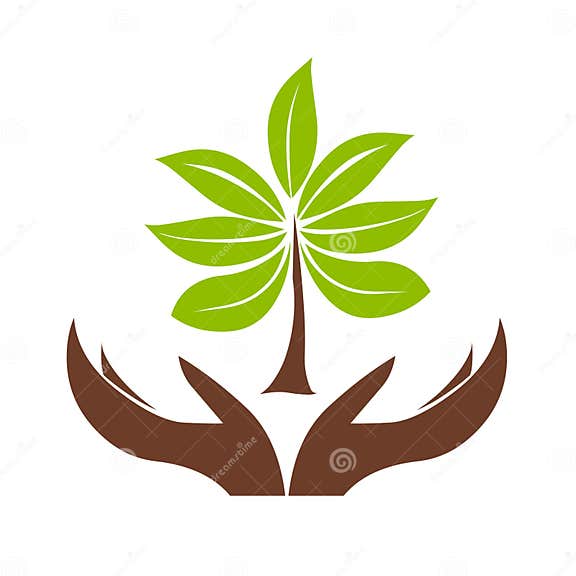 Save Tree Icon.Eco Friendly Vector Illustration Stock Vector ...
