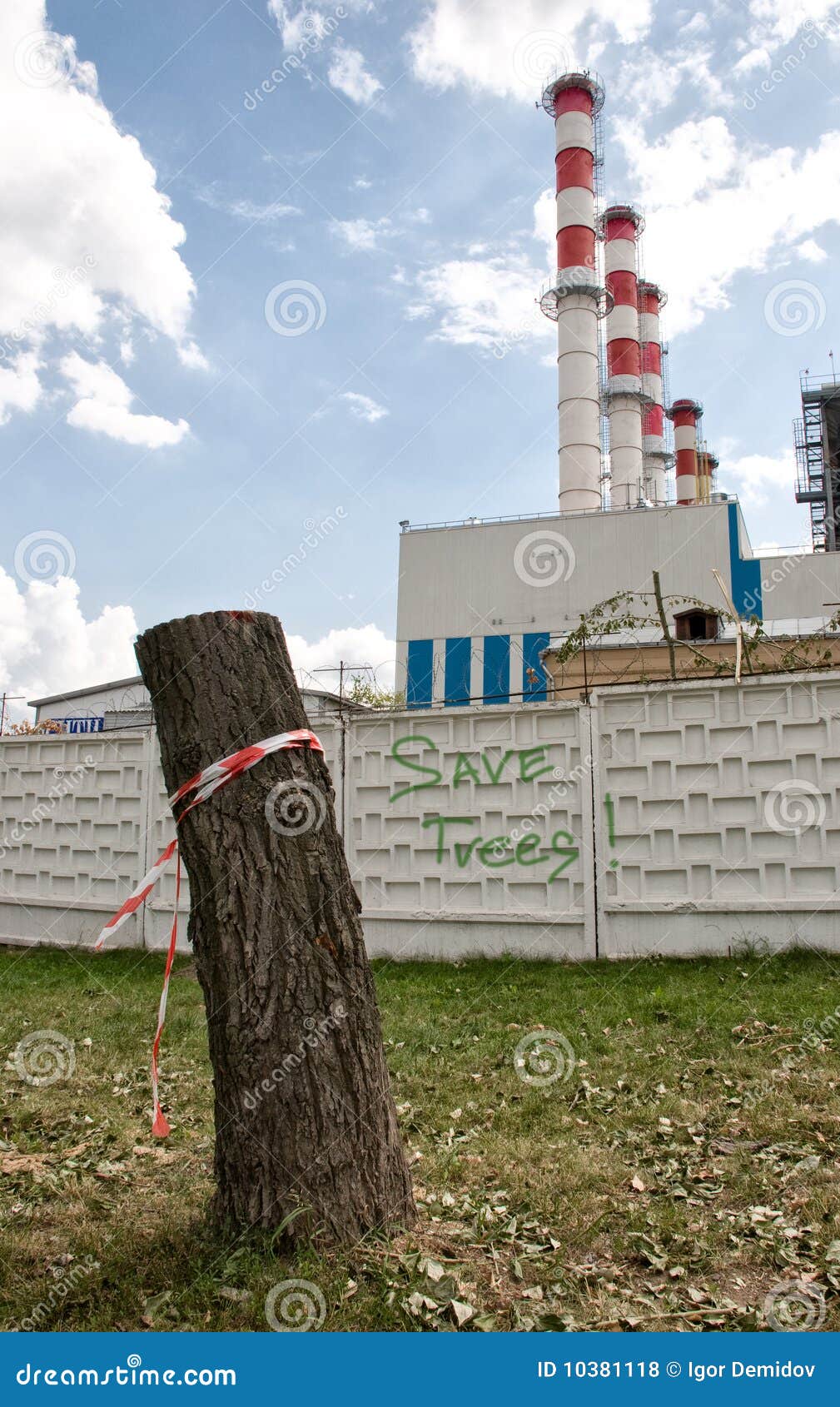 Save trees stock photo. Image of nature, environment - 10381118