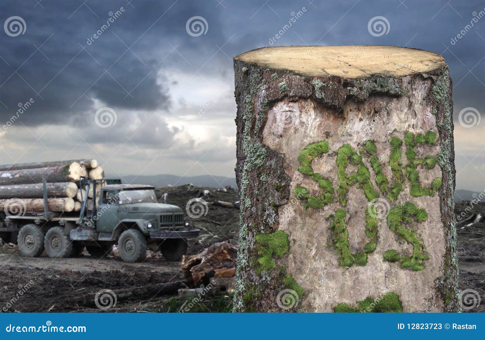Save the trees! stock image. Image of depth, earth, dead - 12823723