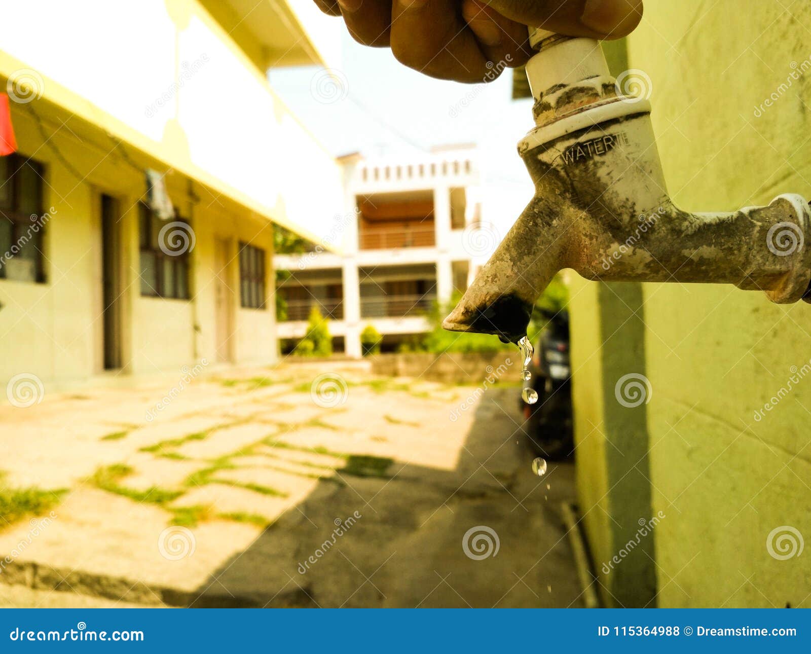 Save water for tomorrow stock photo. Image of water - 115364988