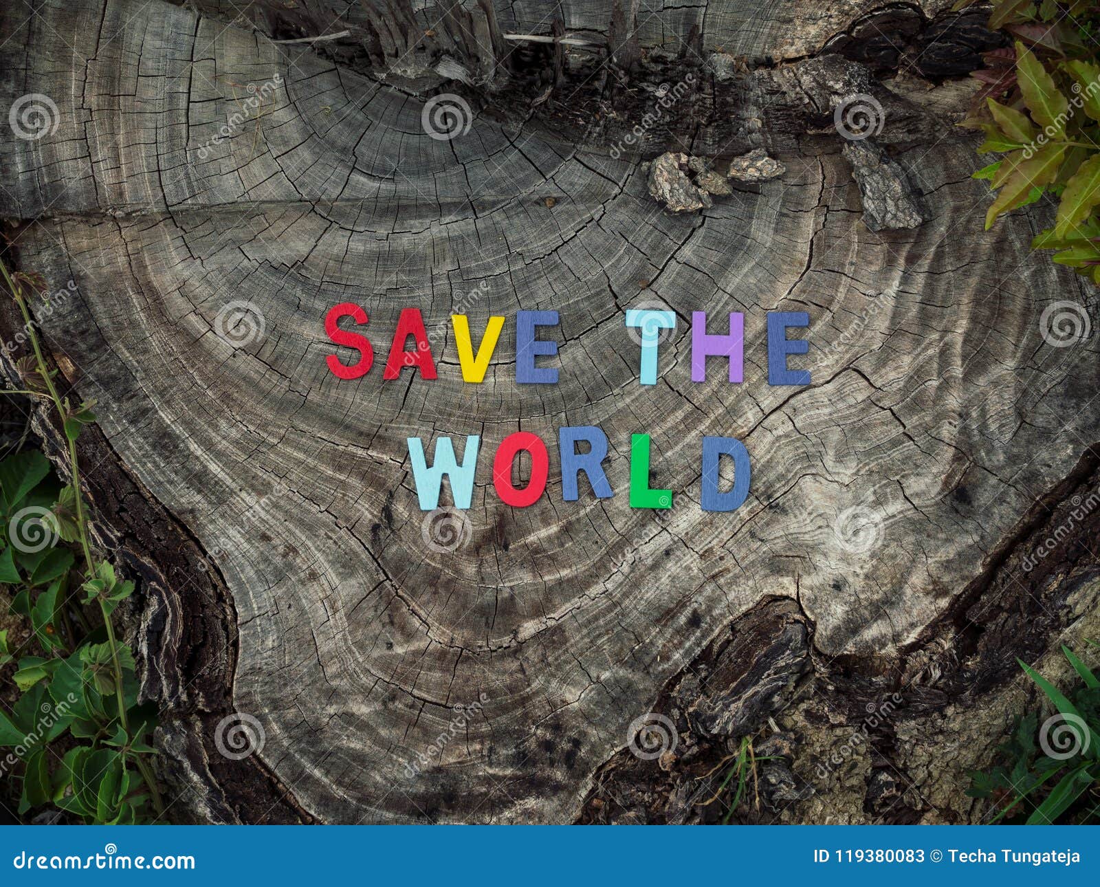 Save the World stock image. Image of nature, colorful - 119380083