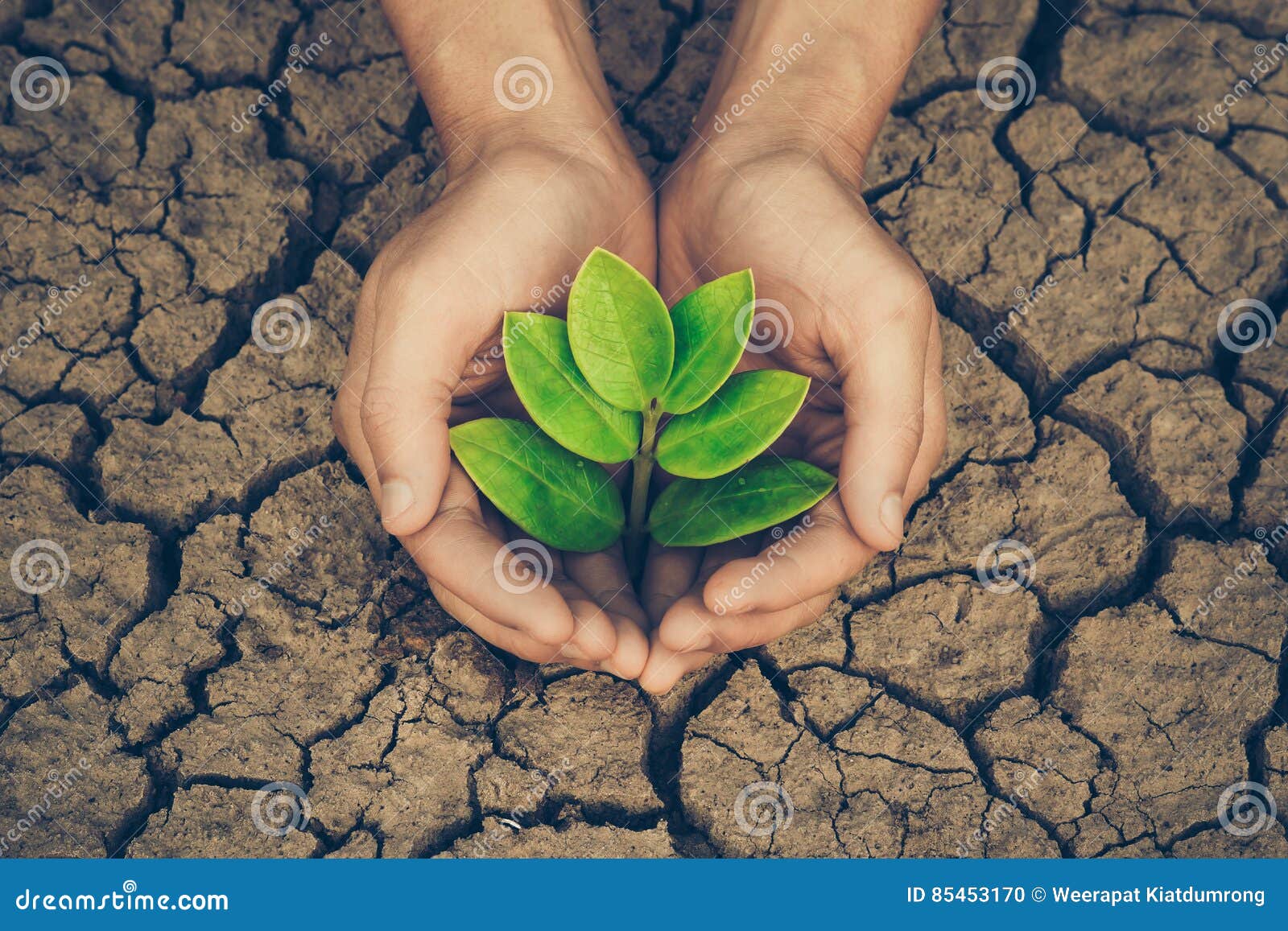 Save the world stock photo. Image of germinate, environment - 85453170